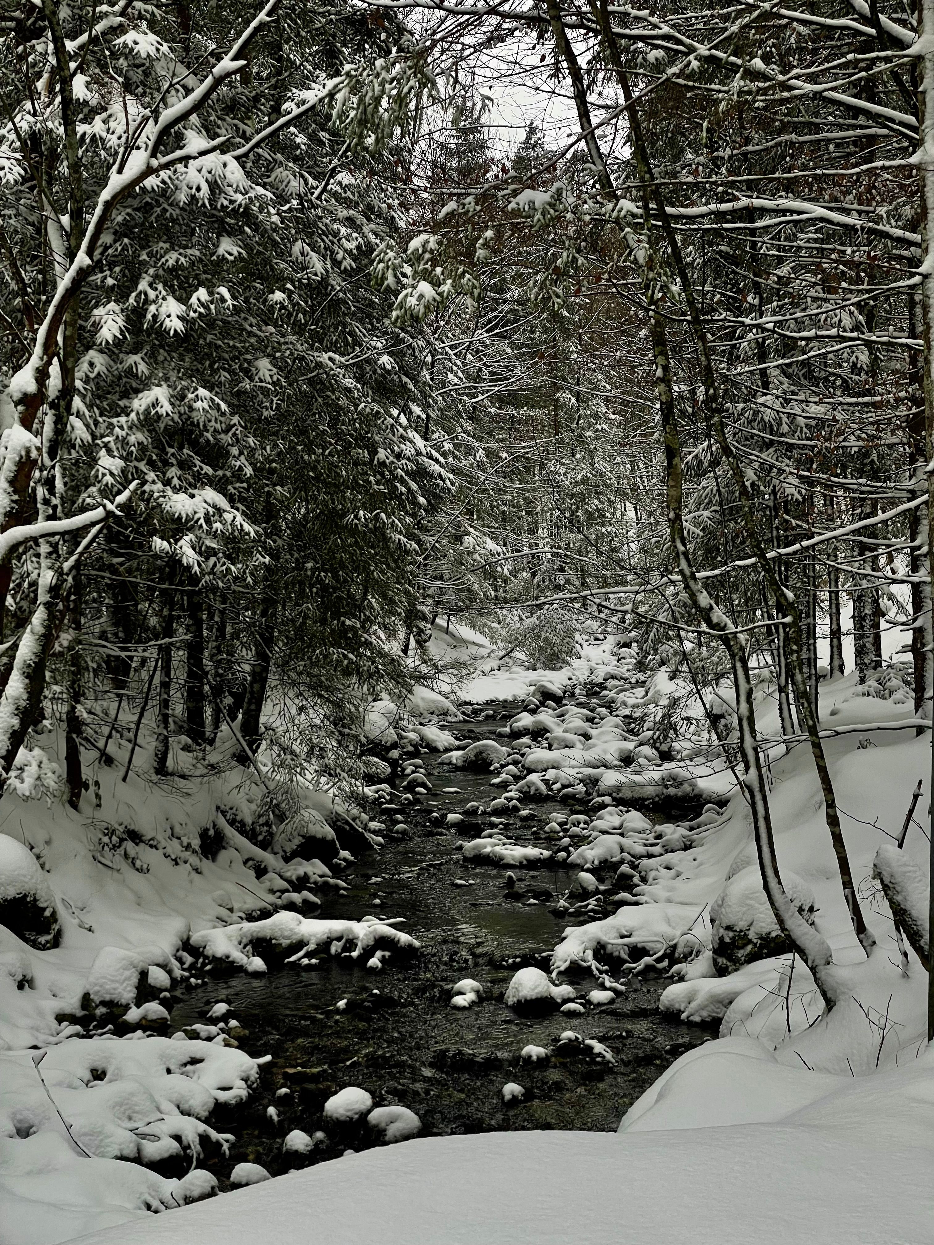 View of a Stream in Winter · Free Stock Photo