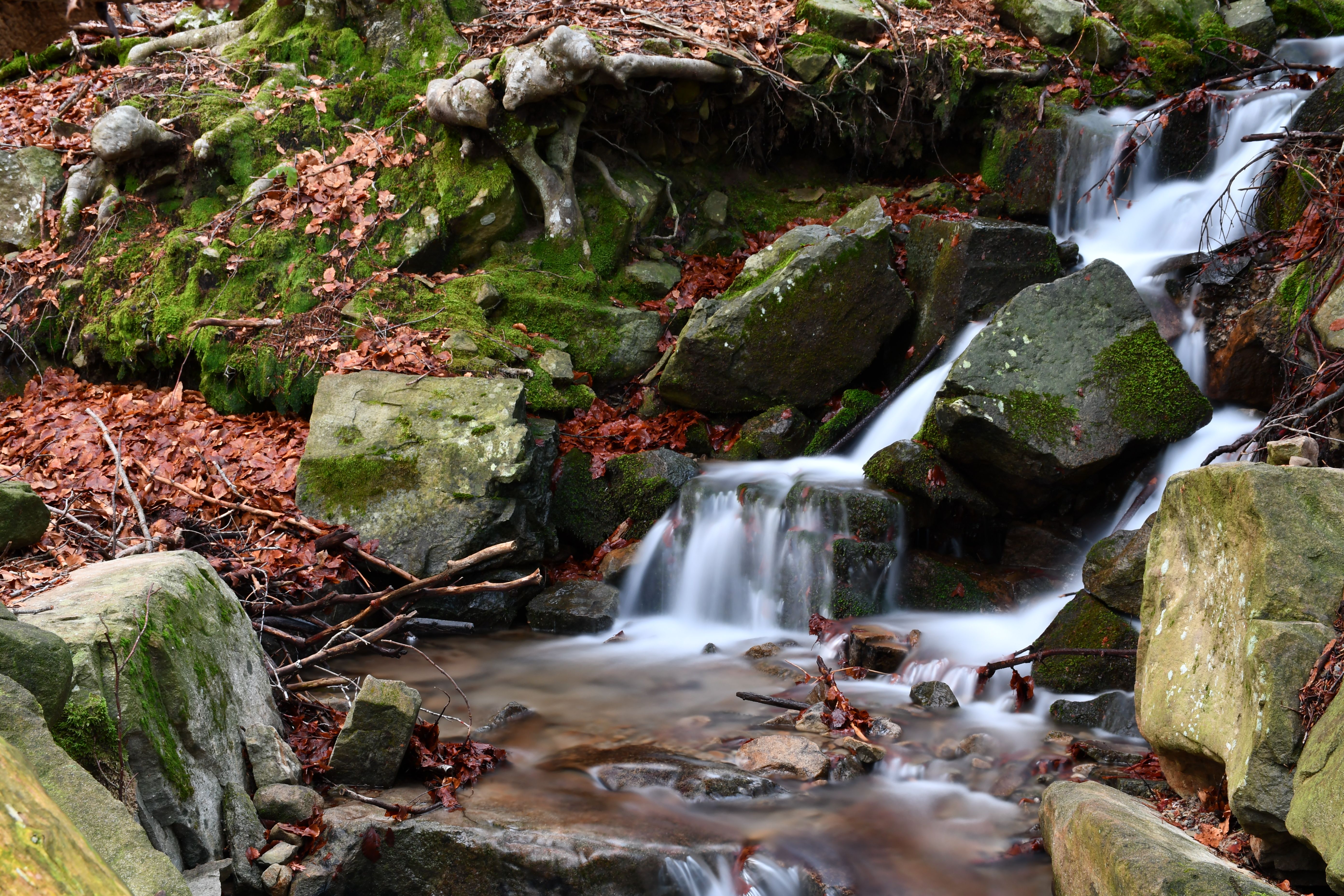 Tranquil Forest Waterfall in Liguria · Free Stock Photo