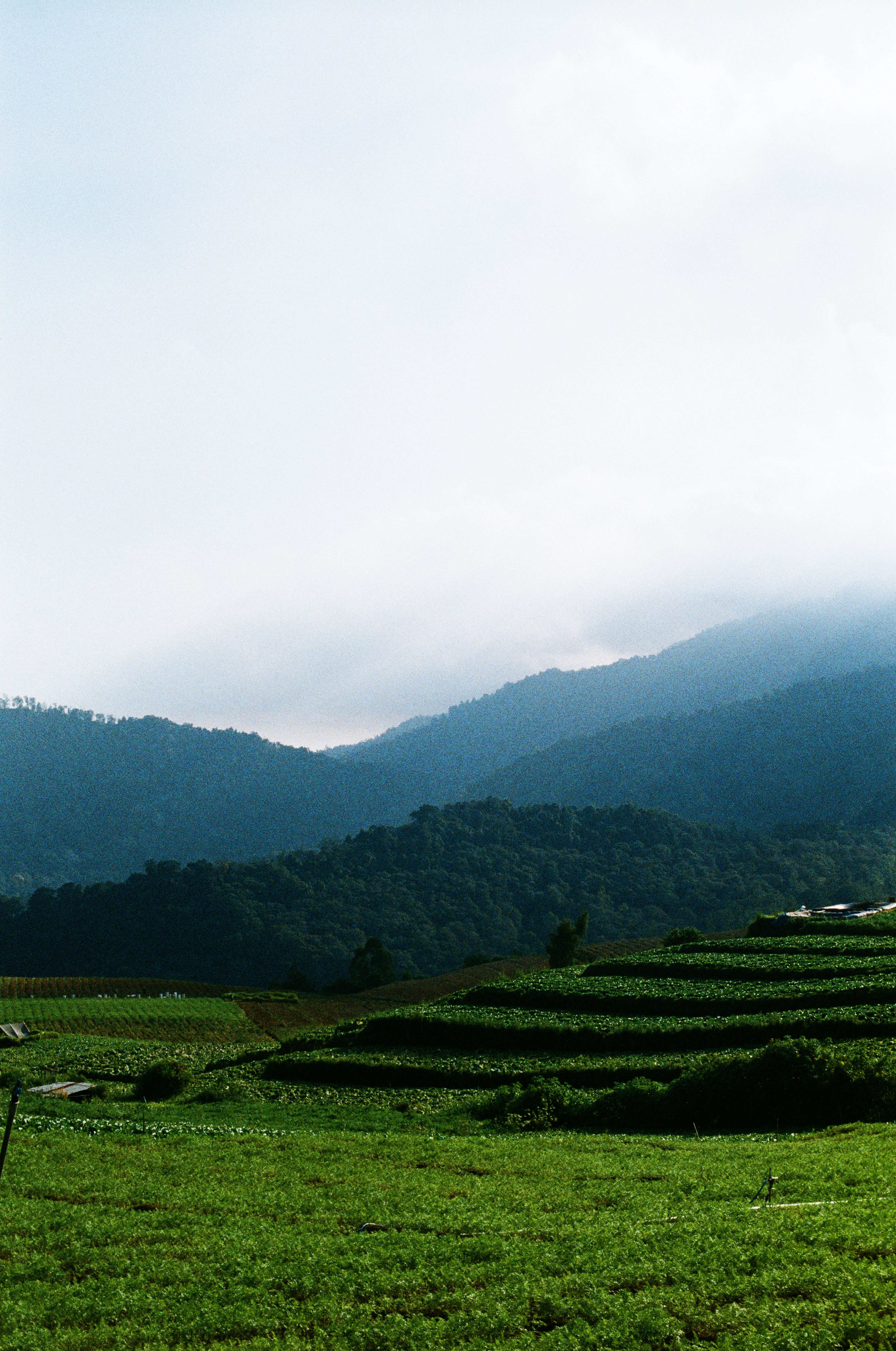 Serene Green Hills Under a Clear Sky · Free Stock Photo