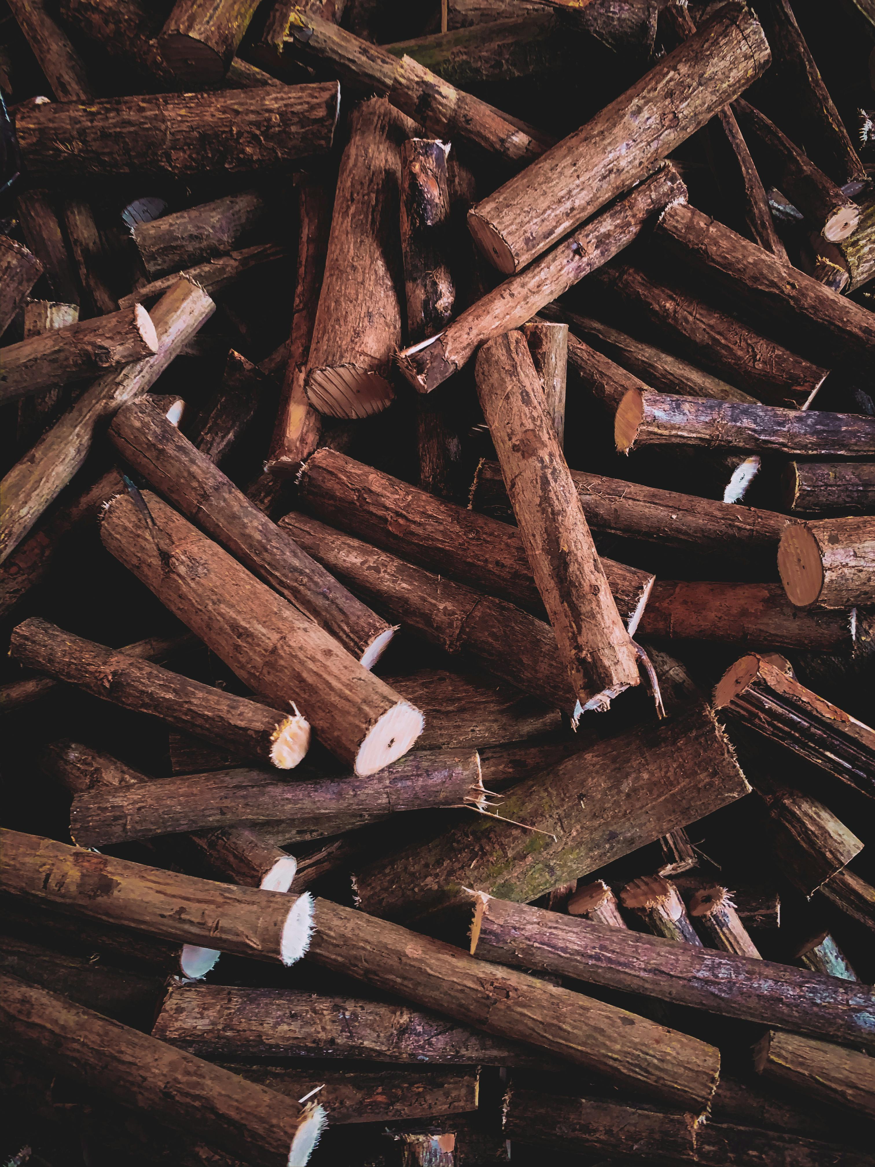 Chewing Stick (pako Ijebu) 14 Photos & Videos Collected by Tope A. Asokere