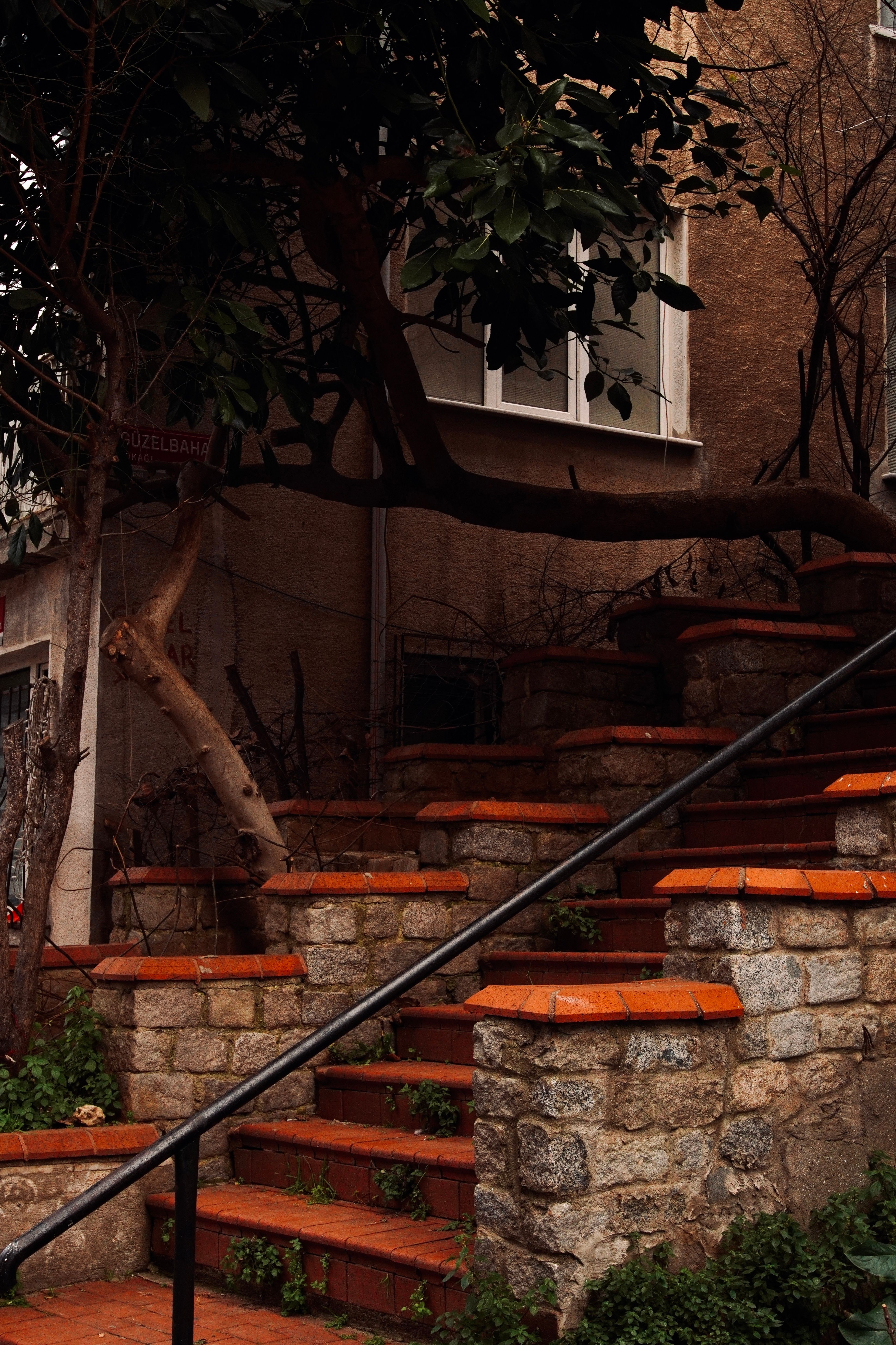 Rustic Stone Staircase with Overhanging Tree · Free Stock Photo