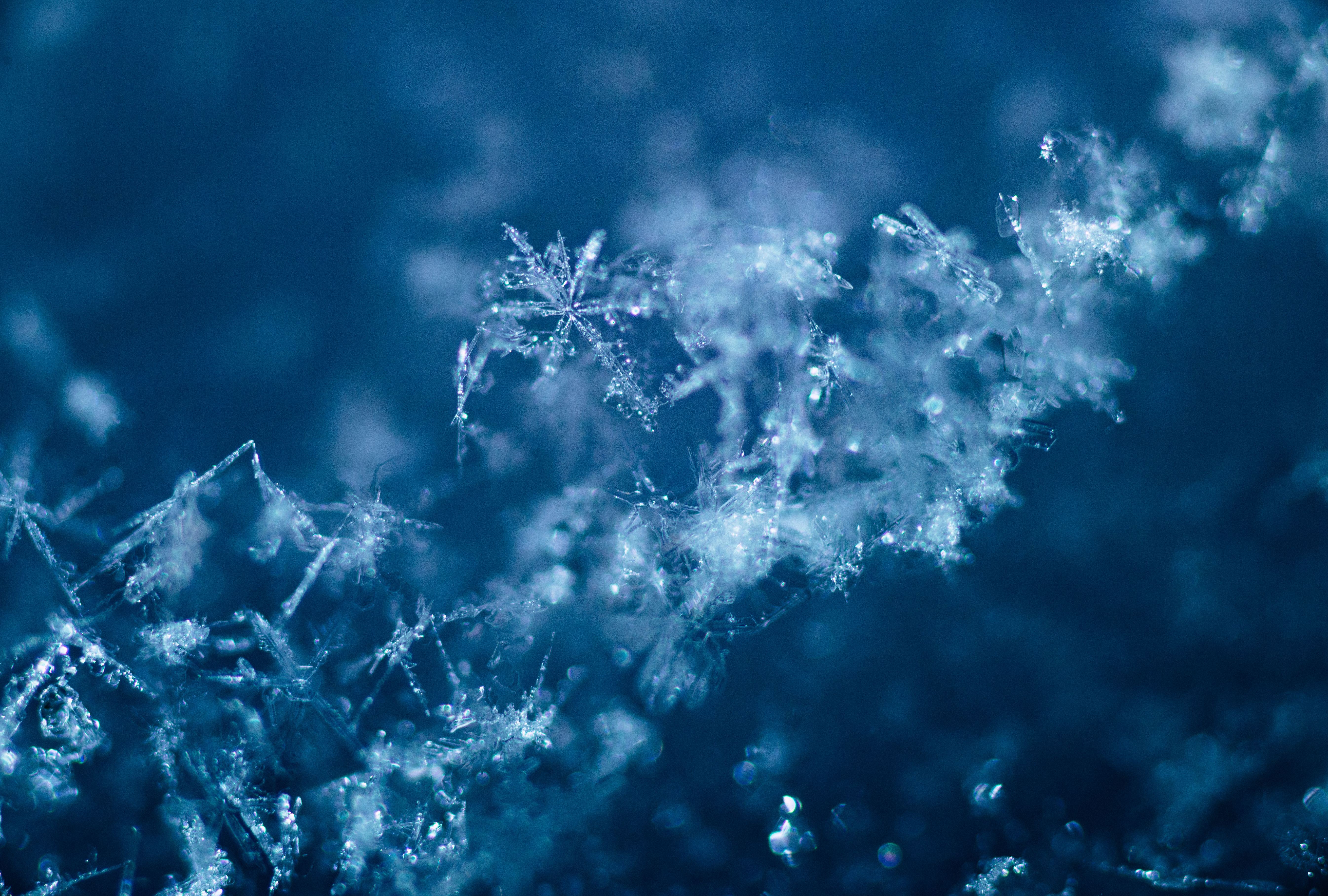 Close-up Photograph of Intricate Snowflakes · Free Stock Photo