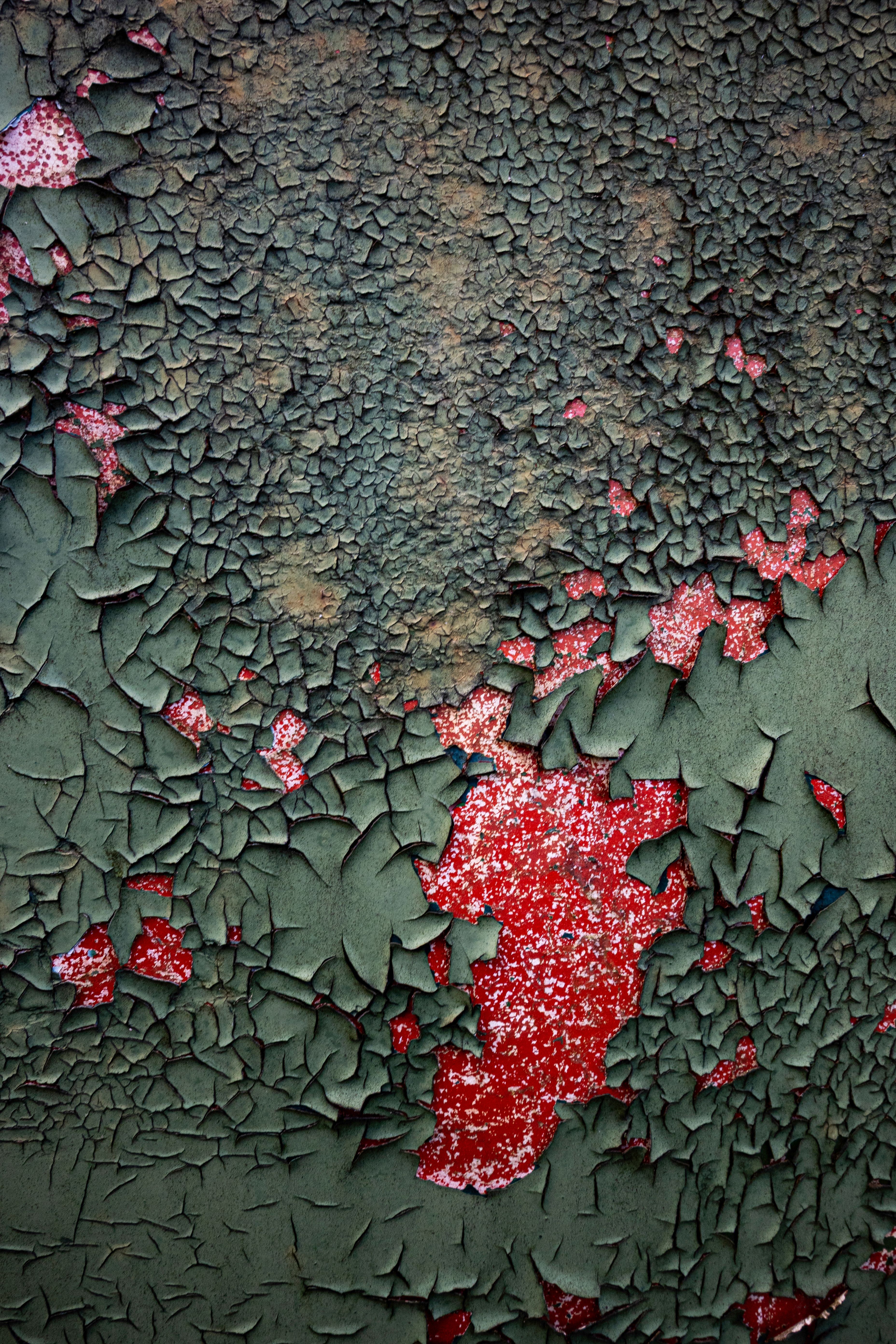 Paint Texture Photos, Download The BEST Free Paint Texture Stock Photos ...