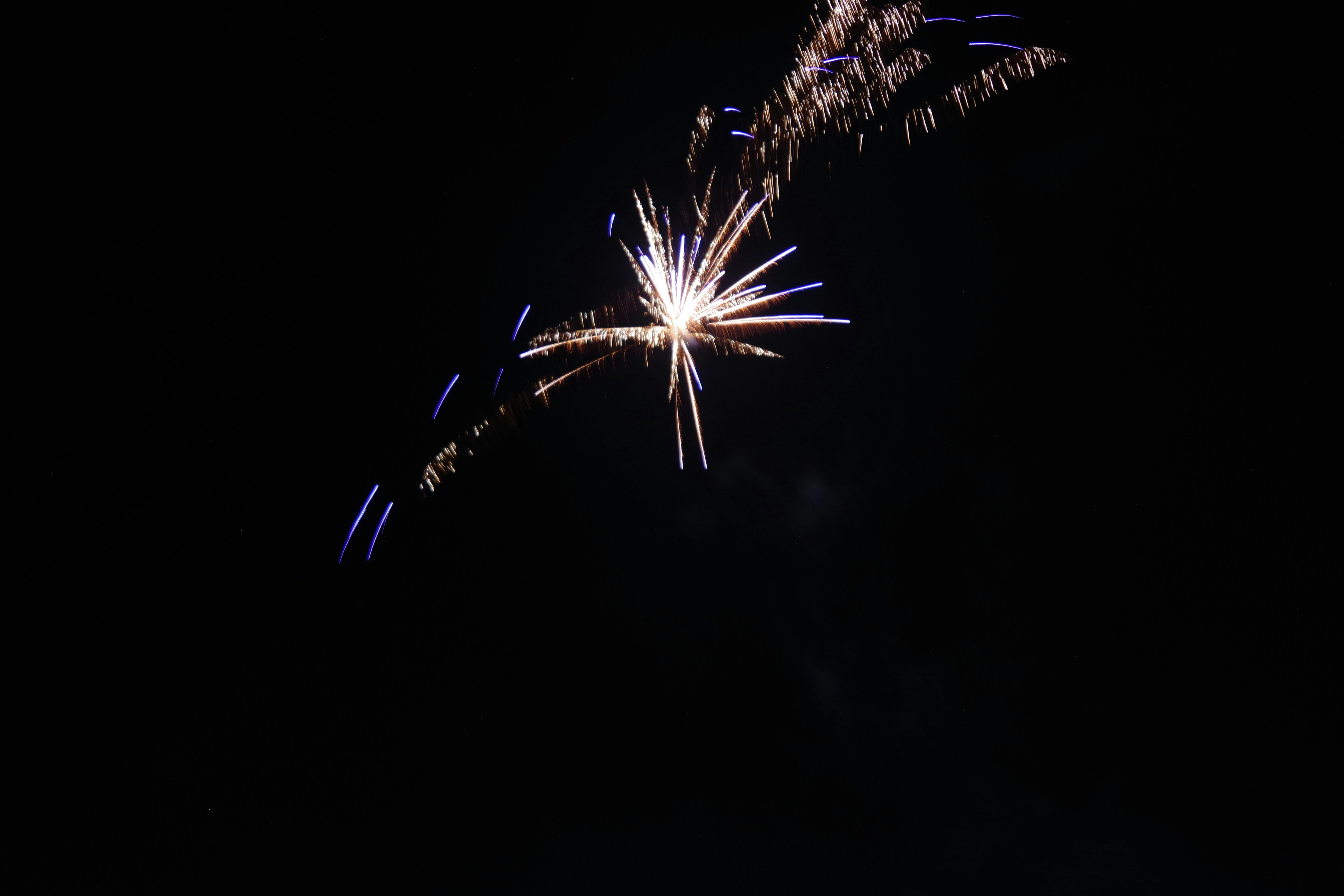 New Years 2020 4 Photos & Videos Collected by shouso boy