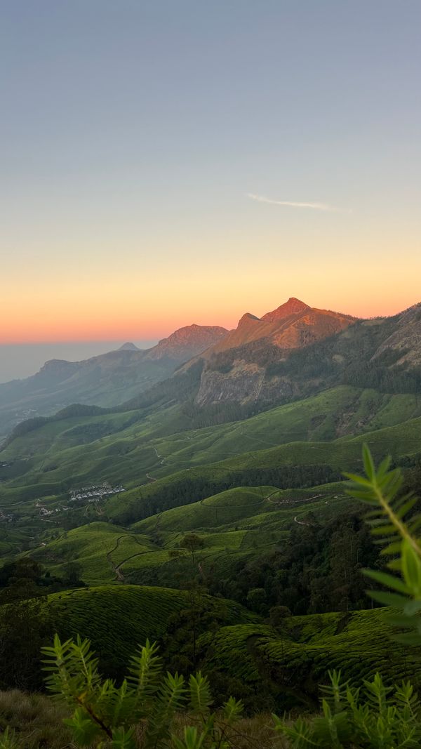 Munnar Kerala Photos, Download The BEST Free Munnar Kerala Stock Photos ...