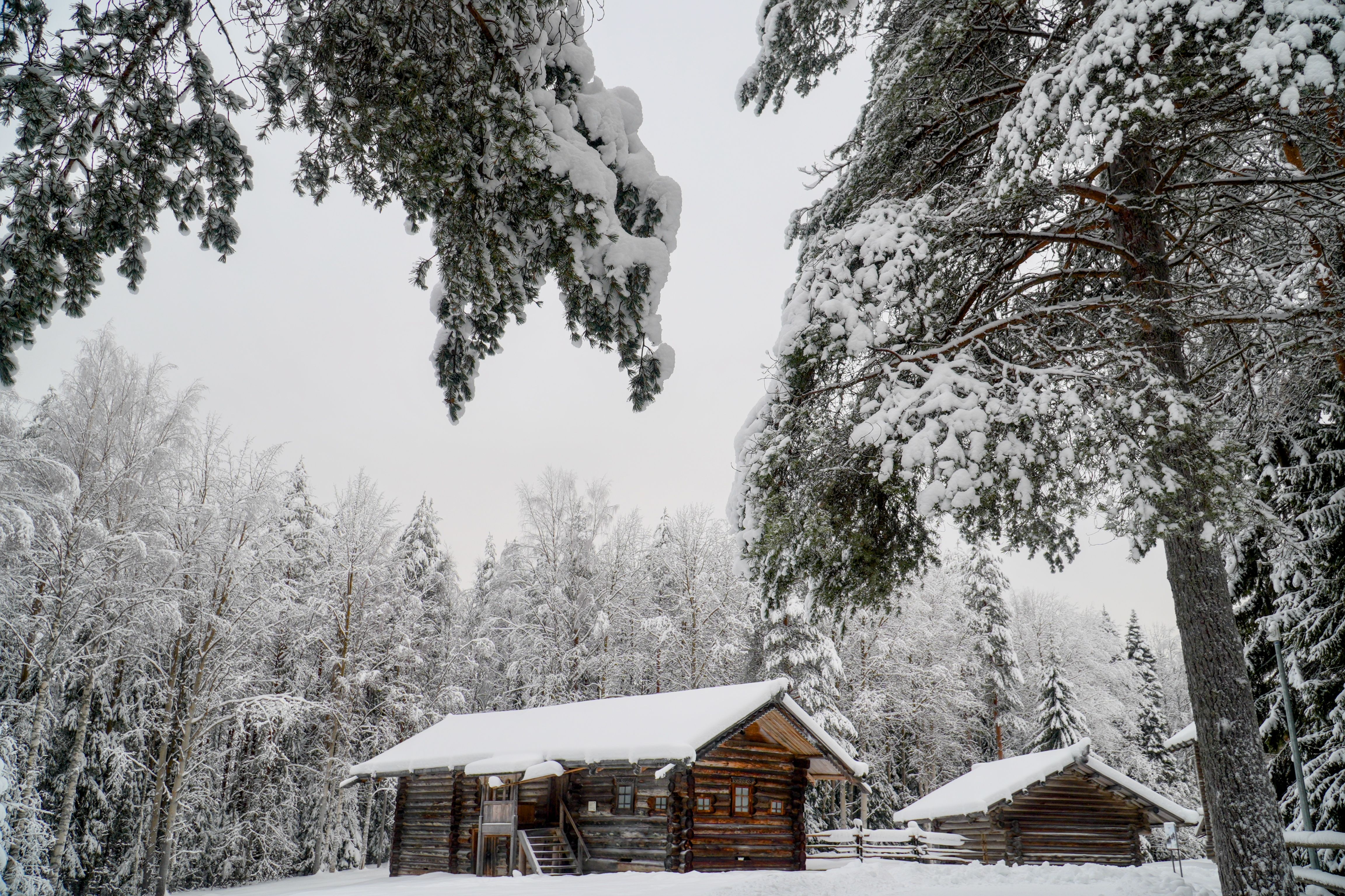 Snow-covered Log Cabin in Russian Winter Forest · Free Stock Photo