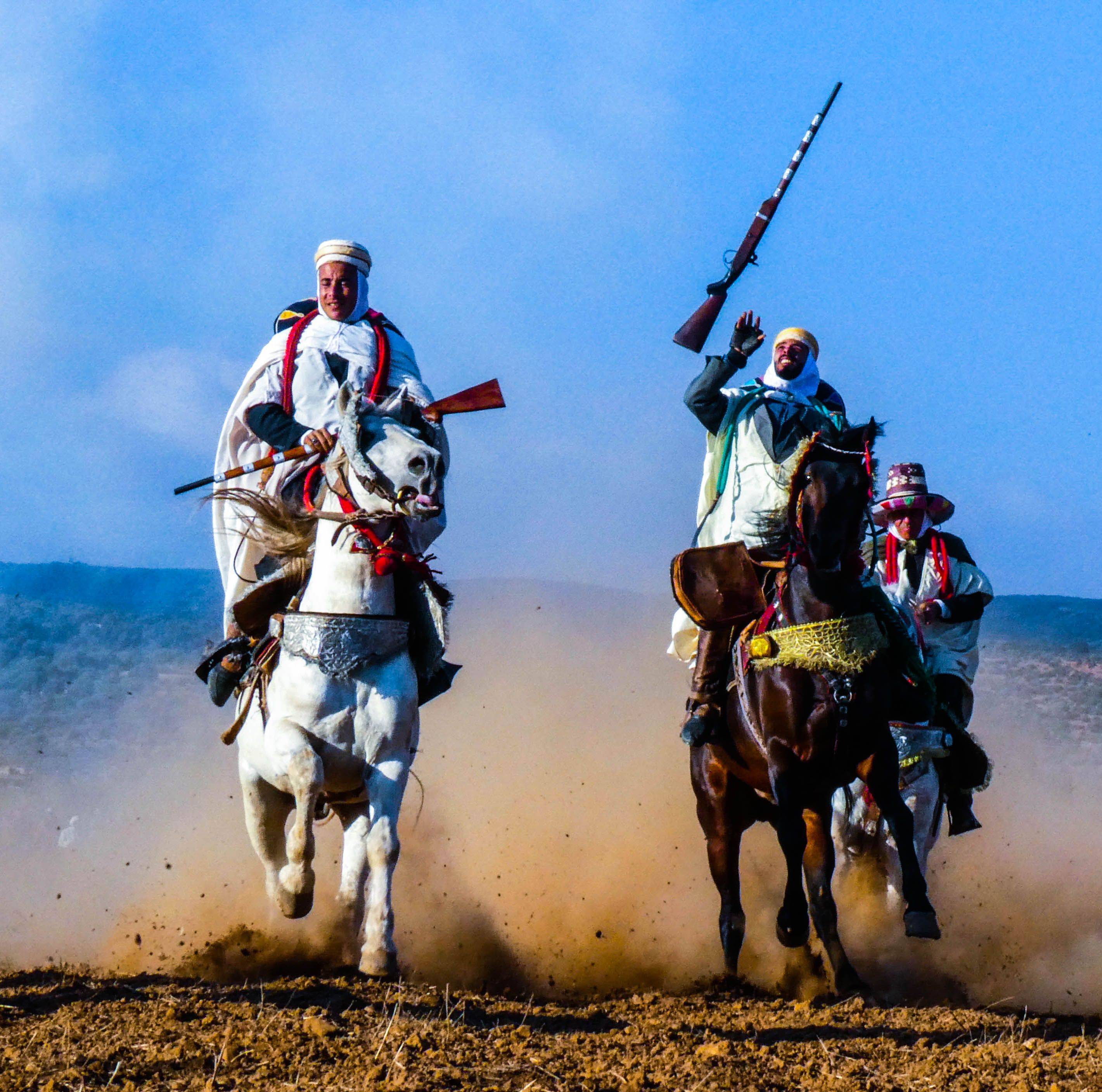 Photo gratuite de animal, arme, arme à feu historique, cavalier ...