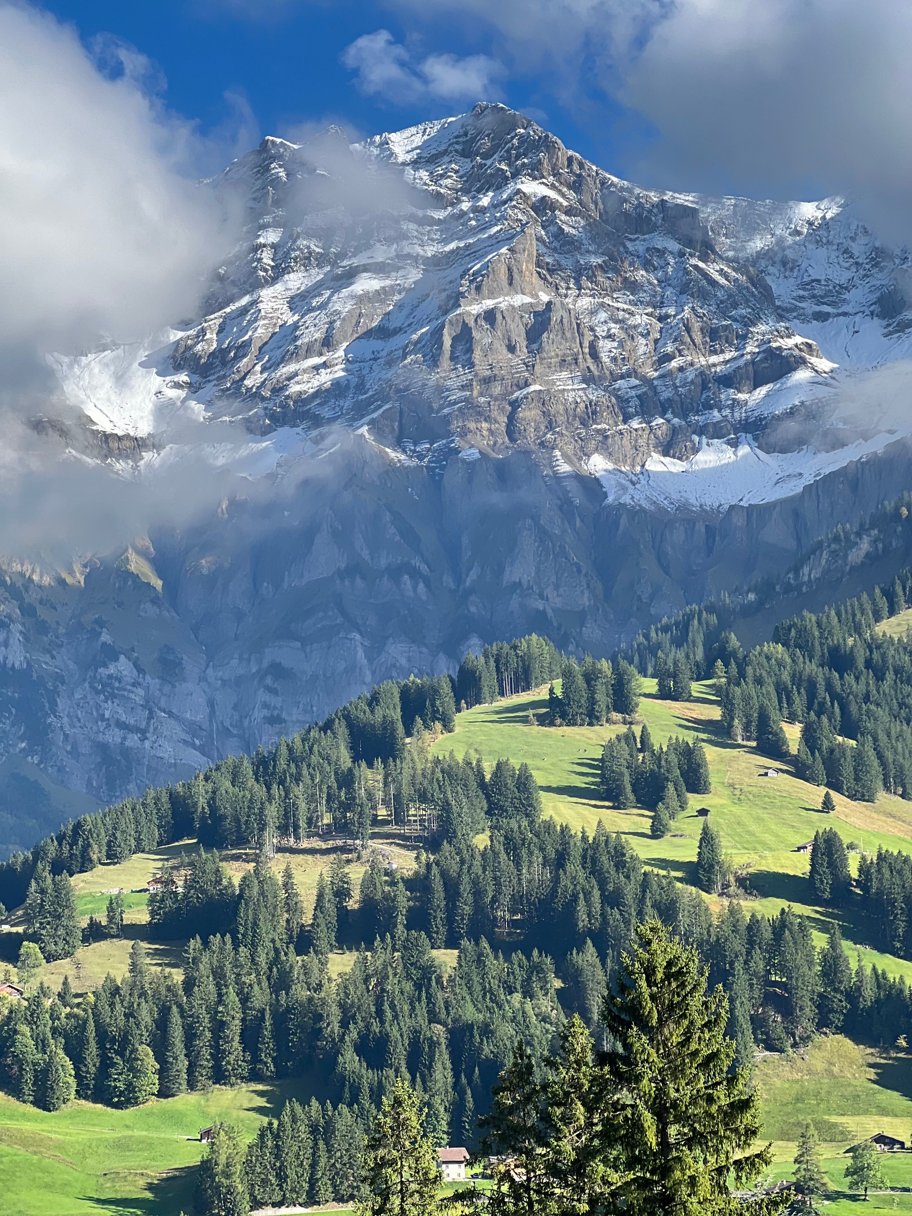 Scenic Swiss Alps Landscape with Lush Greenery · Free Stock Photo