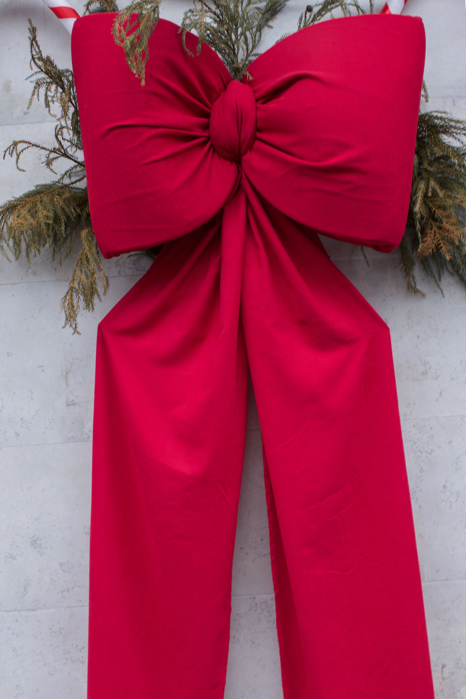 Bow Photos, Download The BEST Free Bow Stock Photos & HD Images