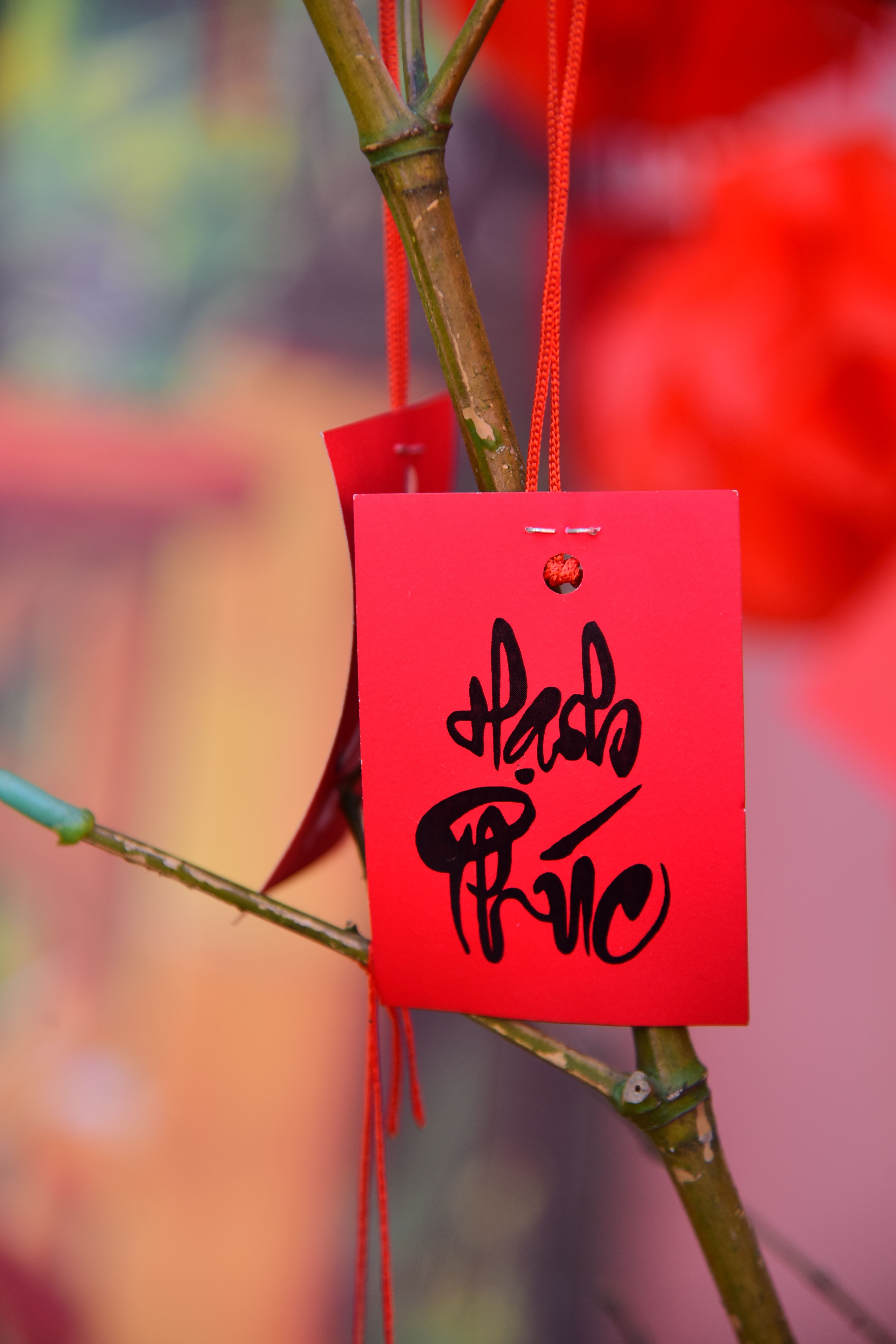 Hanging Card Photos, Download The BEST Free Hanging Card Stock Photos ...