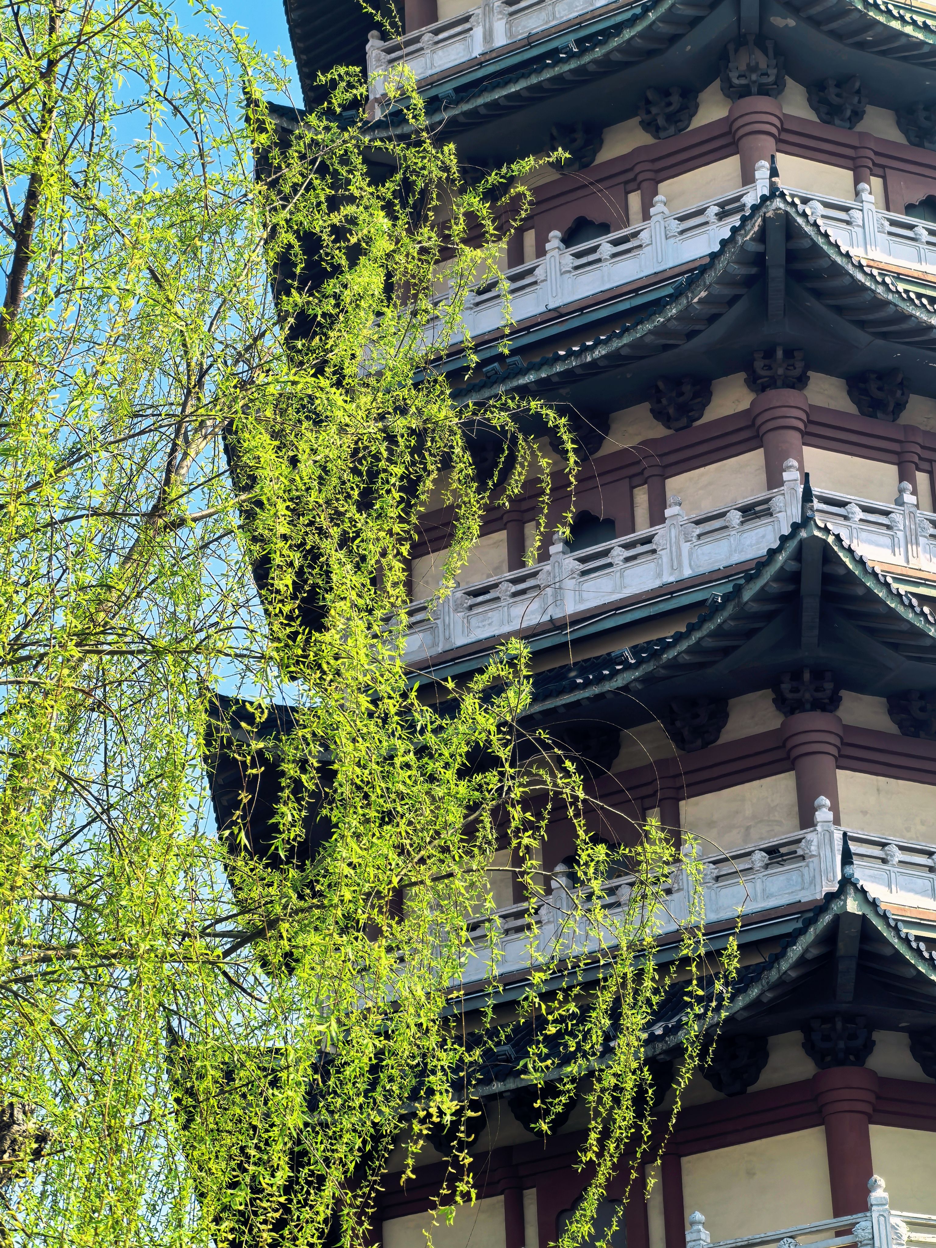 Traditional Chinese Pagoda with Spring Greenery · Free Stock Photo