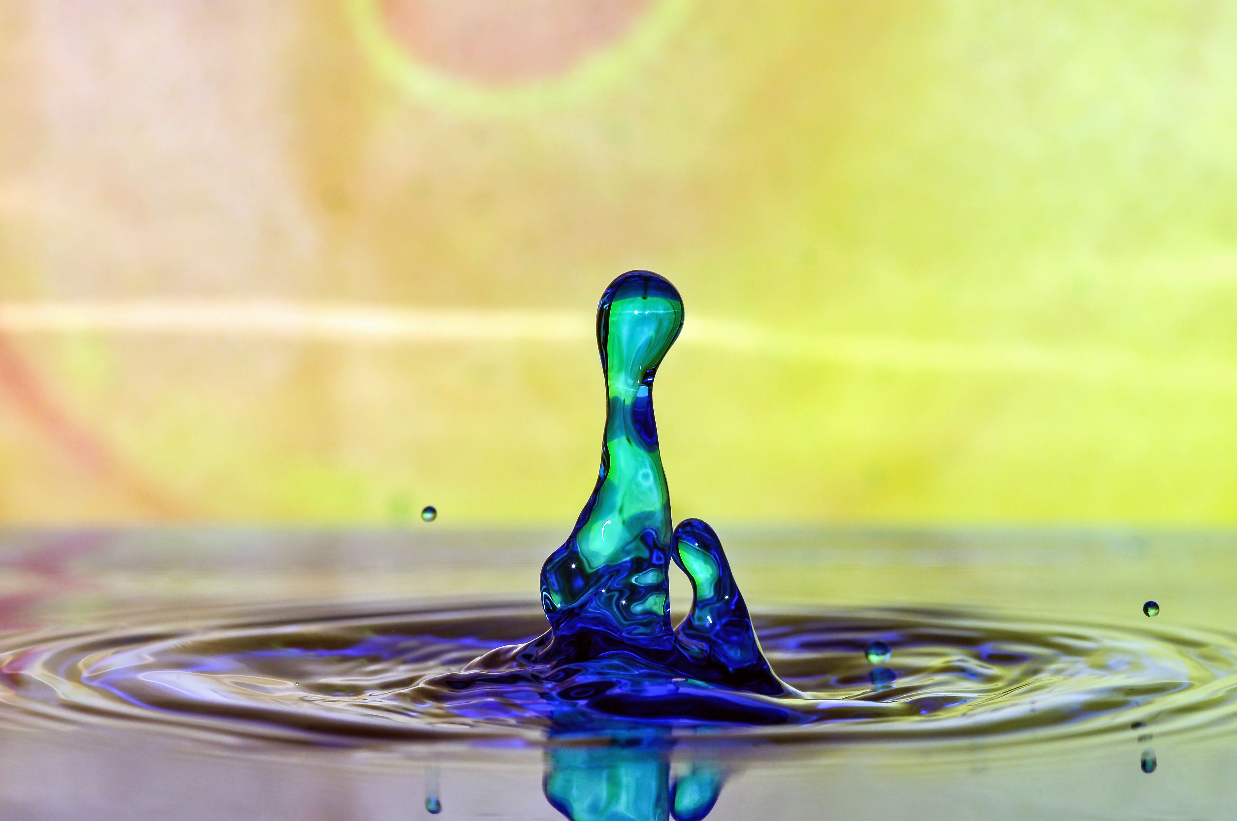 Close Up Water Drop Photography · Free Stock Photo