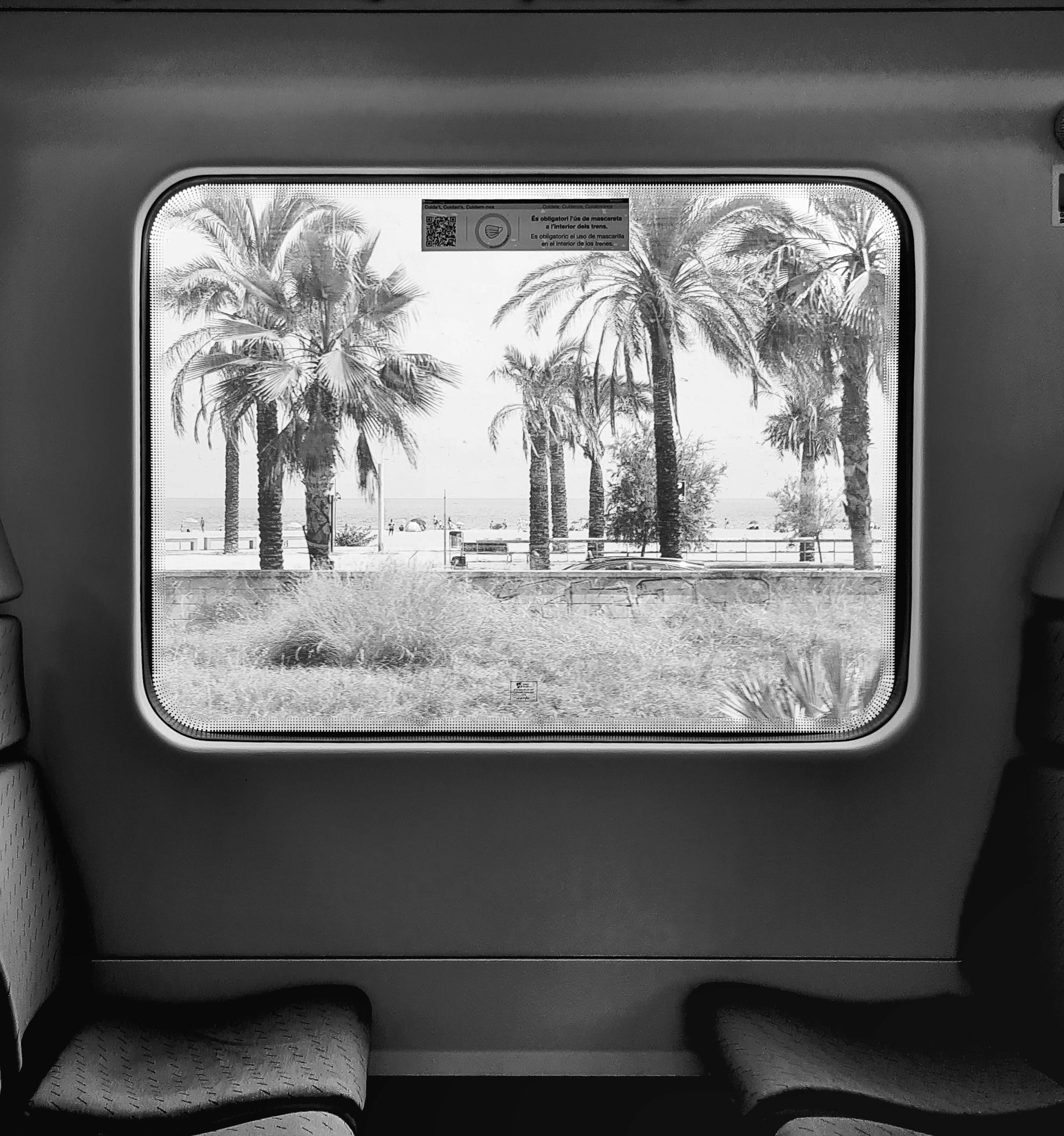 Black and White Train Window View with Palms · Free Stock Photo