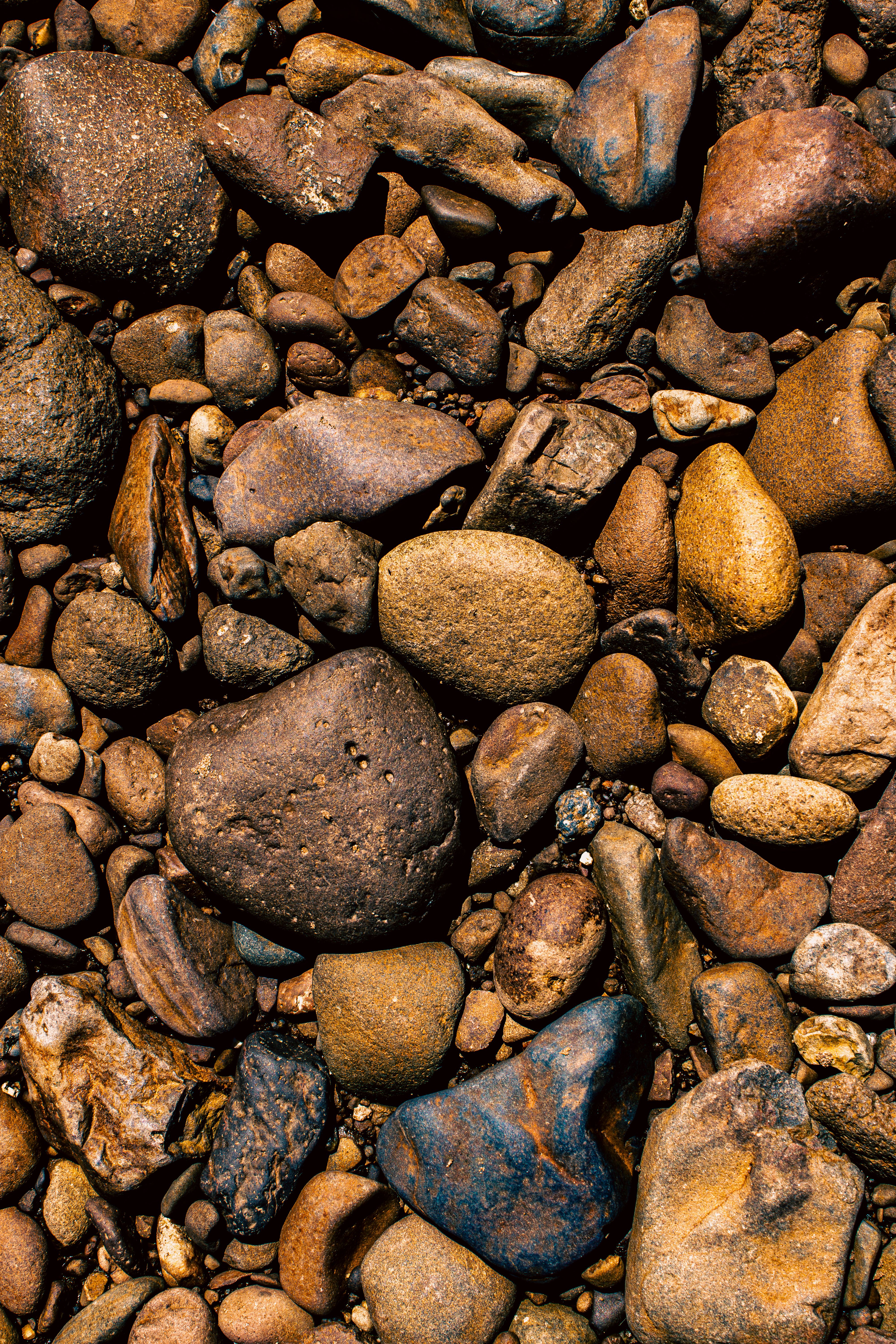 Natural Riverbed Stones and Pebbles Close-up · Free Stock Photo