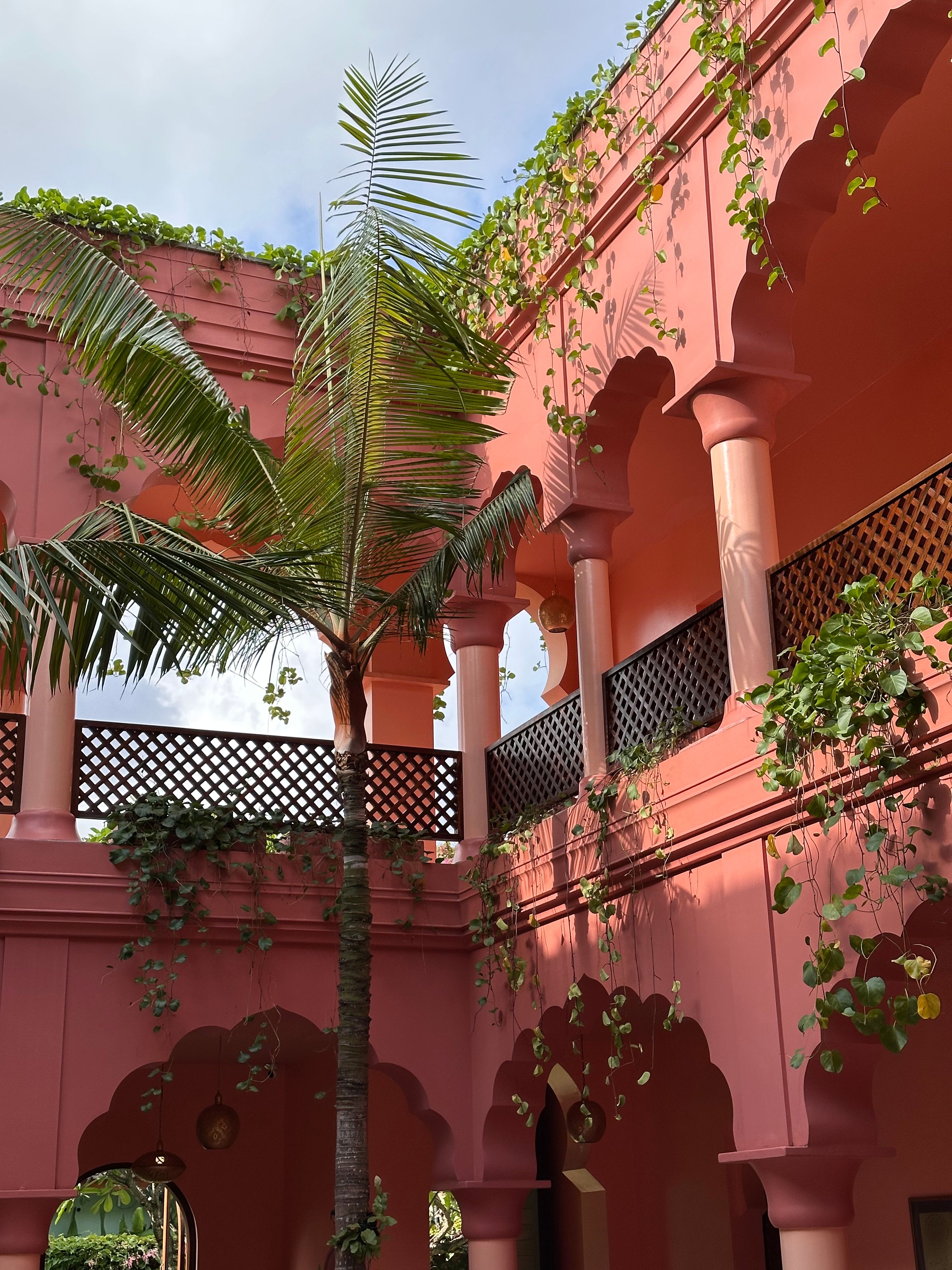 Vibrant Courtyard with Tropical Palm Tree · Free Stock Photo