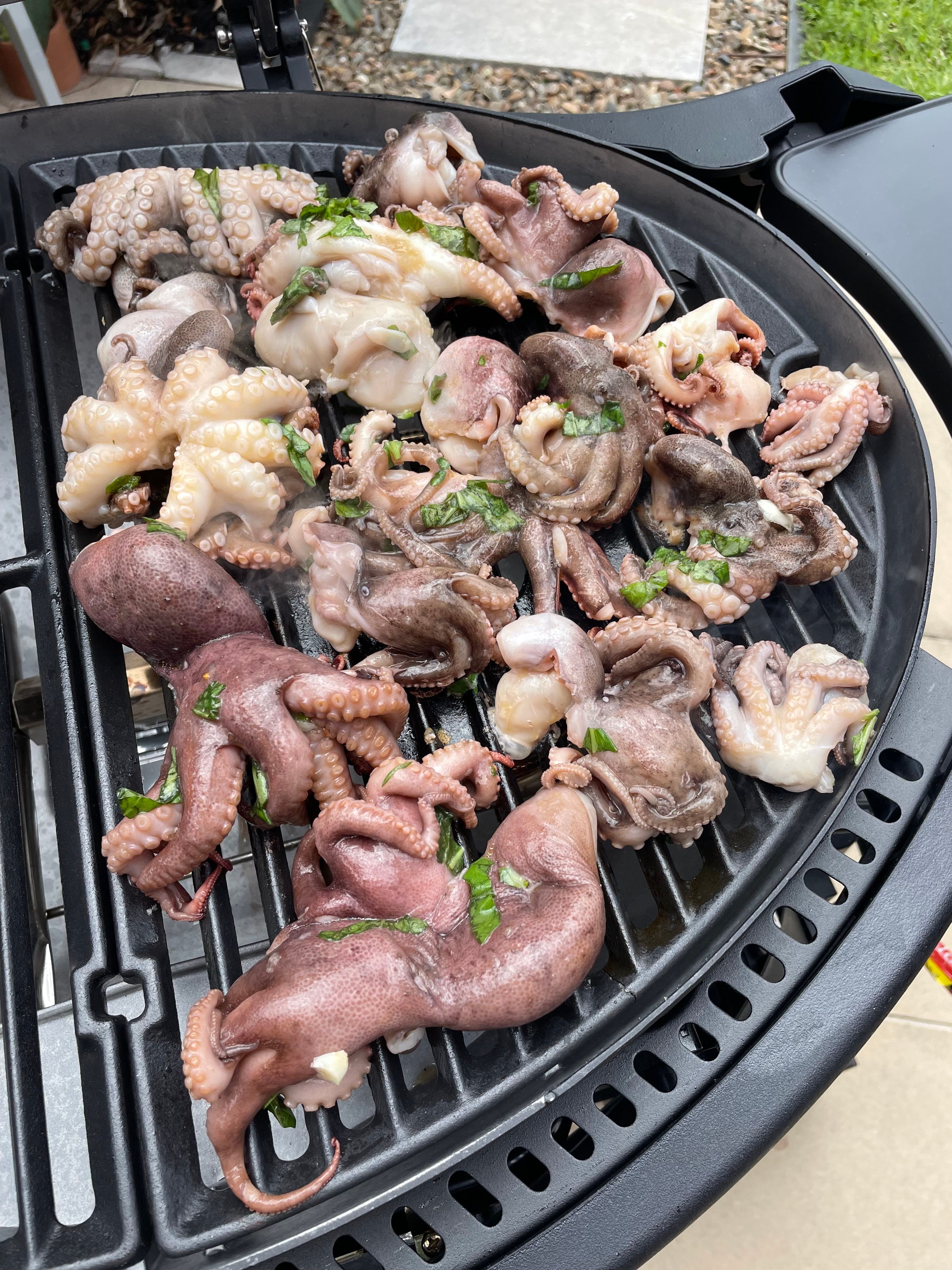 Grilled Octopus on Backyard Barbecue · Free Stock Photo