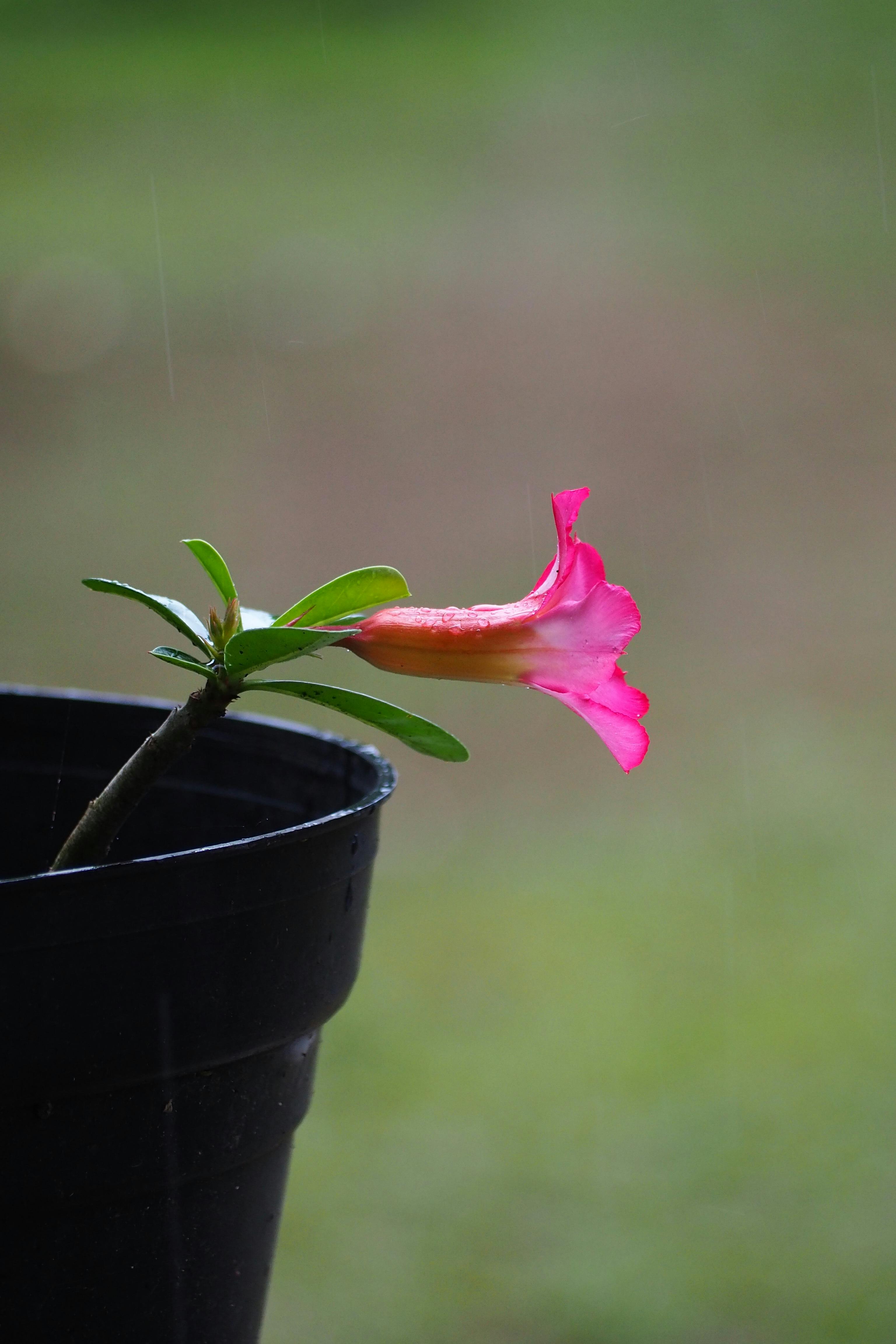 Bokep+Jepang+Depkolektor Photos, Download The BEST Free Bokep+Jepang+Depkolektor Stock Photos ...