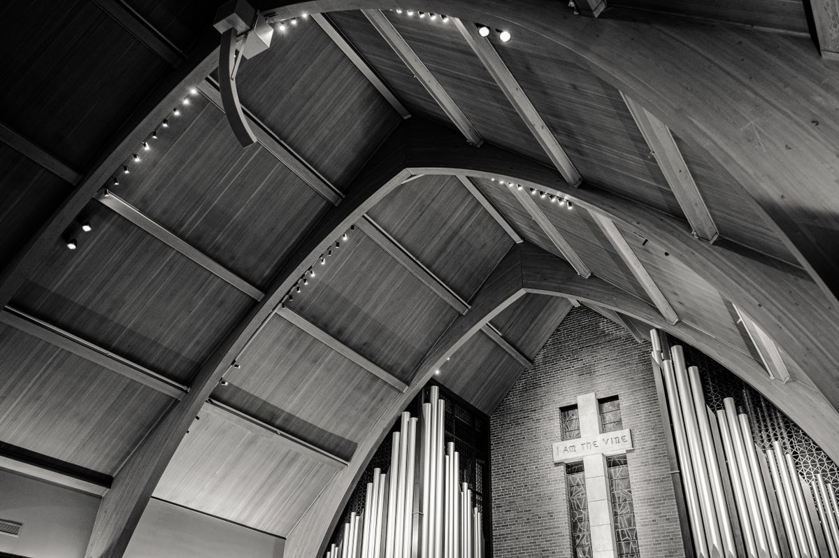 Are Service Dogs Allowed in Churches: Key Guidelines Inside