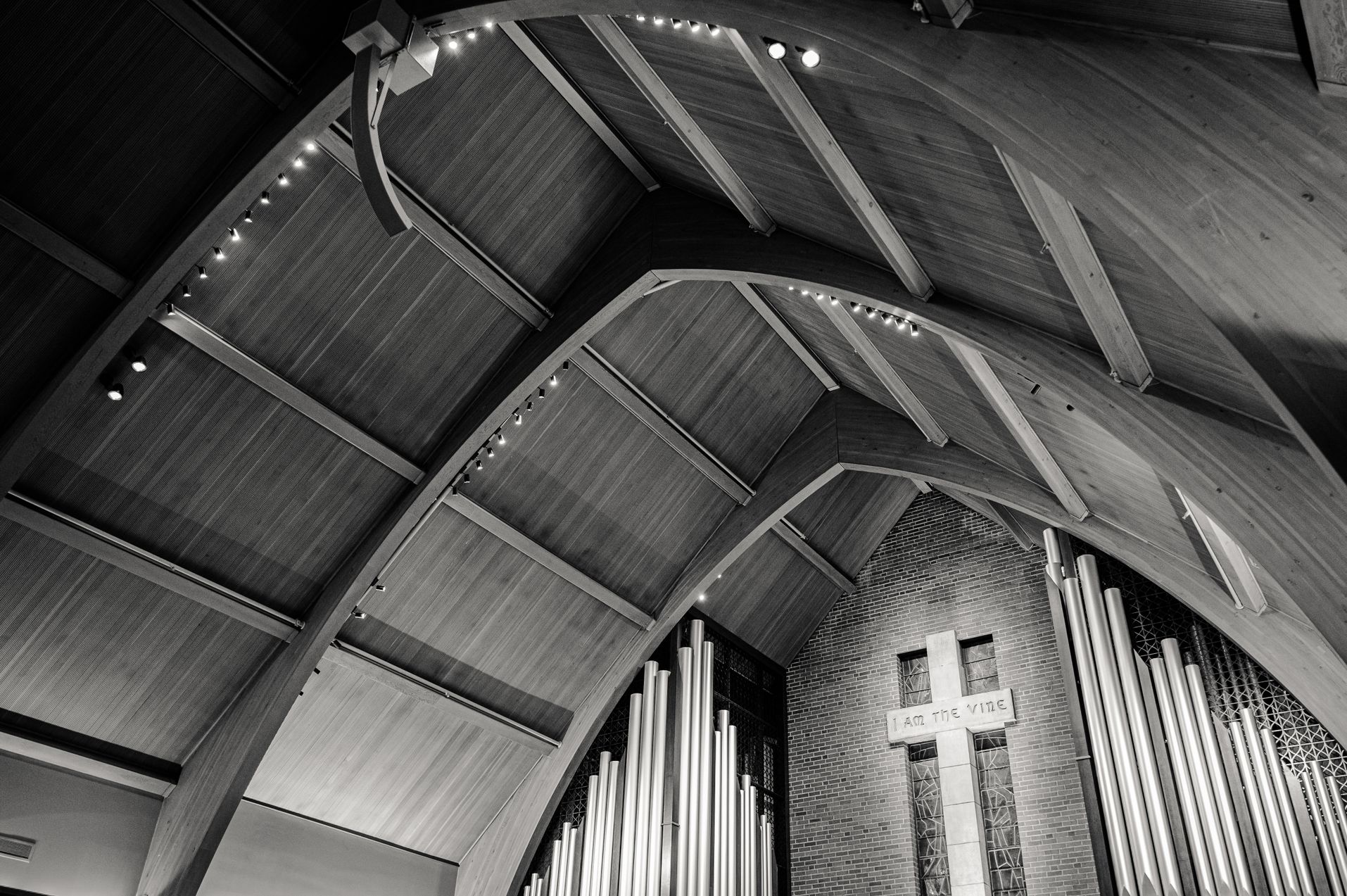 Are Service Dogs Allowed in Churches: Key Guidelines Inside