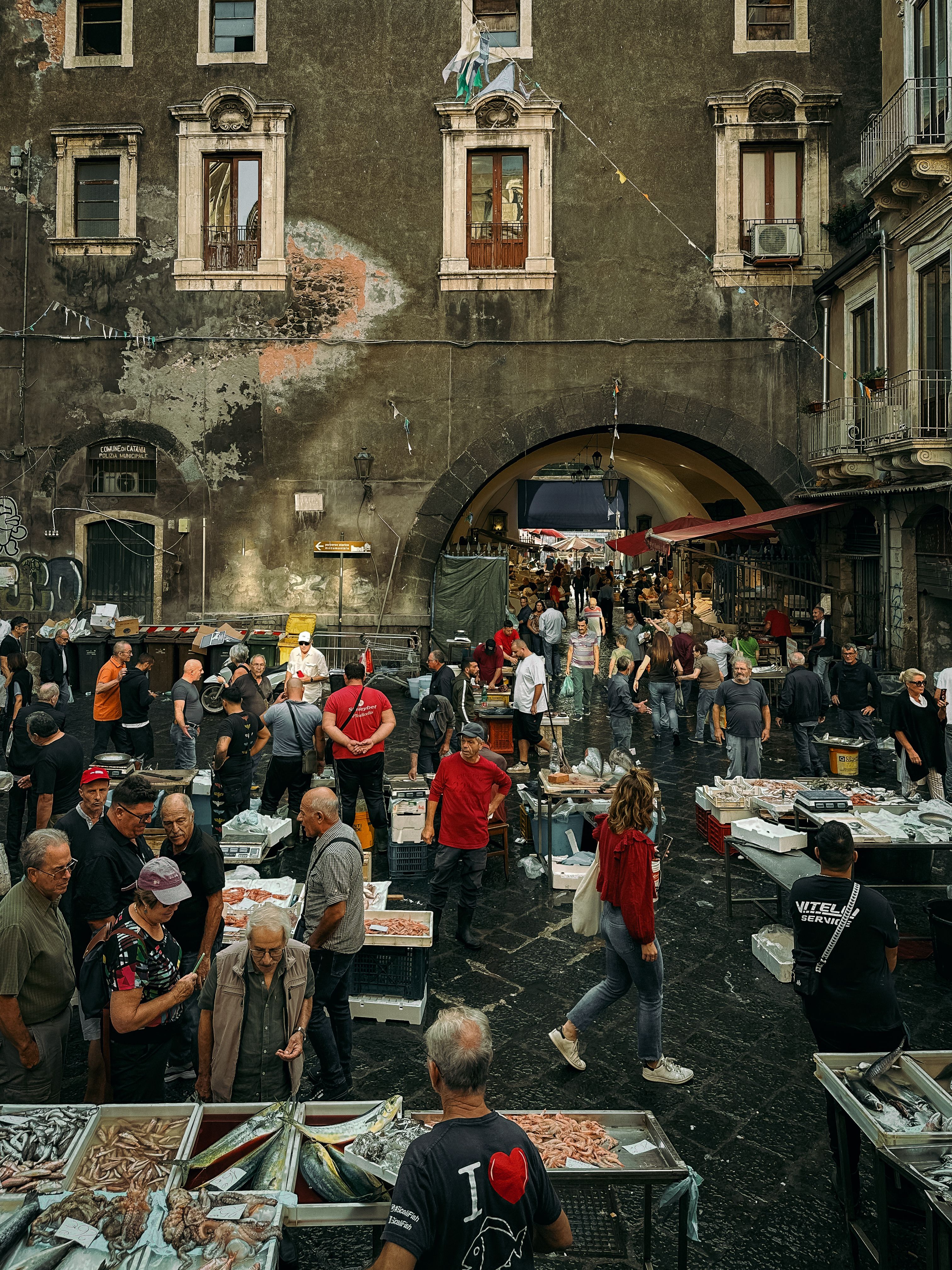 10.000+ Fotos y Imágenes de Fish market dubai Gratis · Banco de Fotos ...