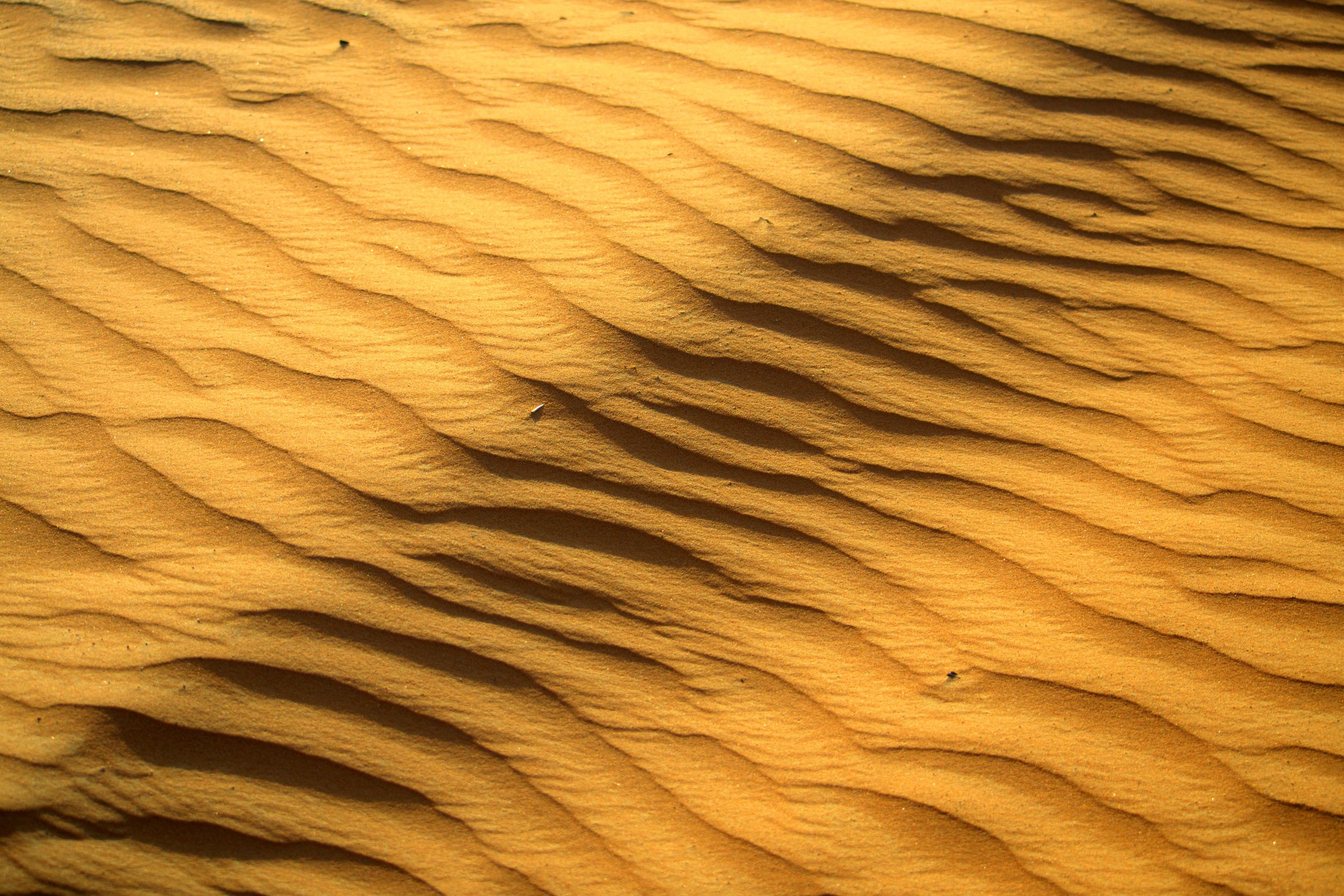 Golden Sand Dunes at Al Madam, UAE · Free Stock Photo