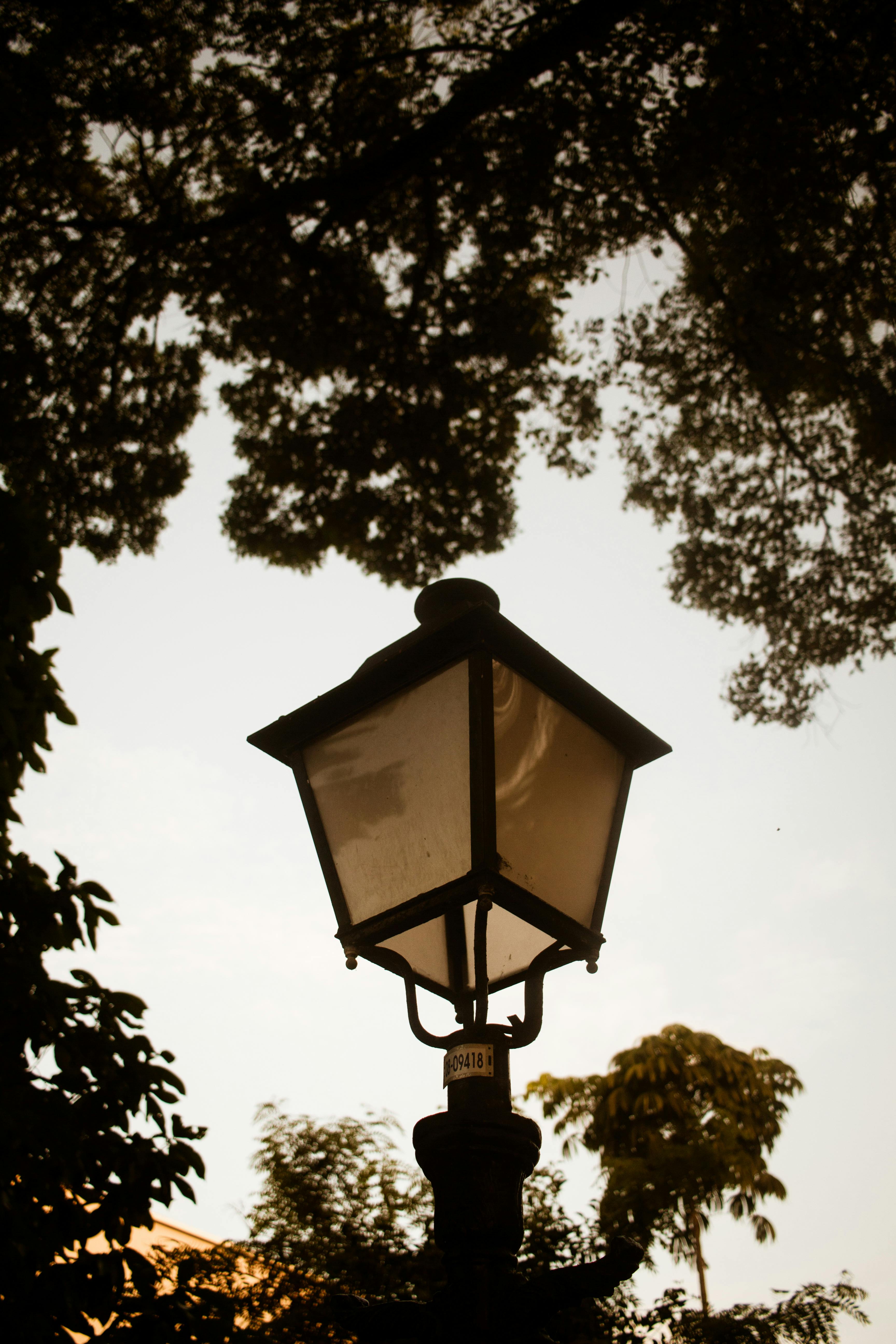 100,000+ Best Street Lamp Photos · 100% Free Download · Pexels Stock Photos