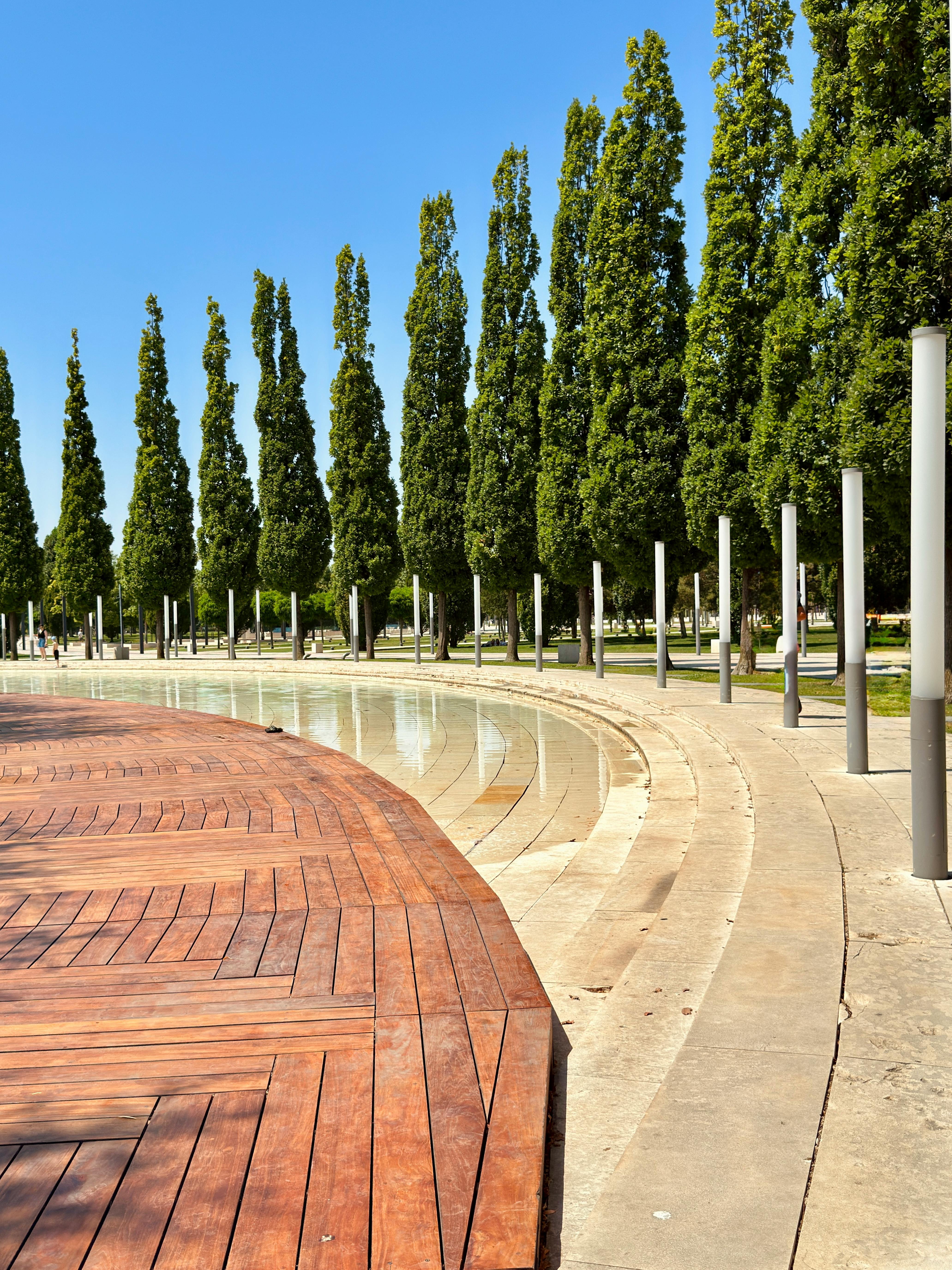 Pathway with Cypress Trees and Wooden Walkway · Free Stock Photo