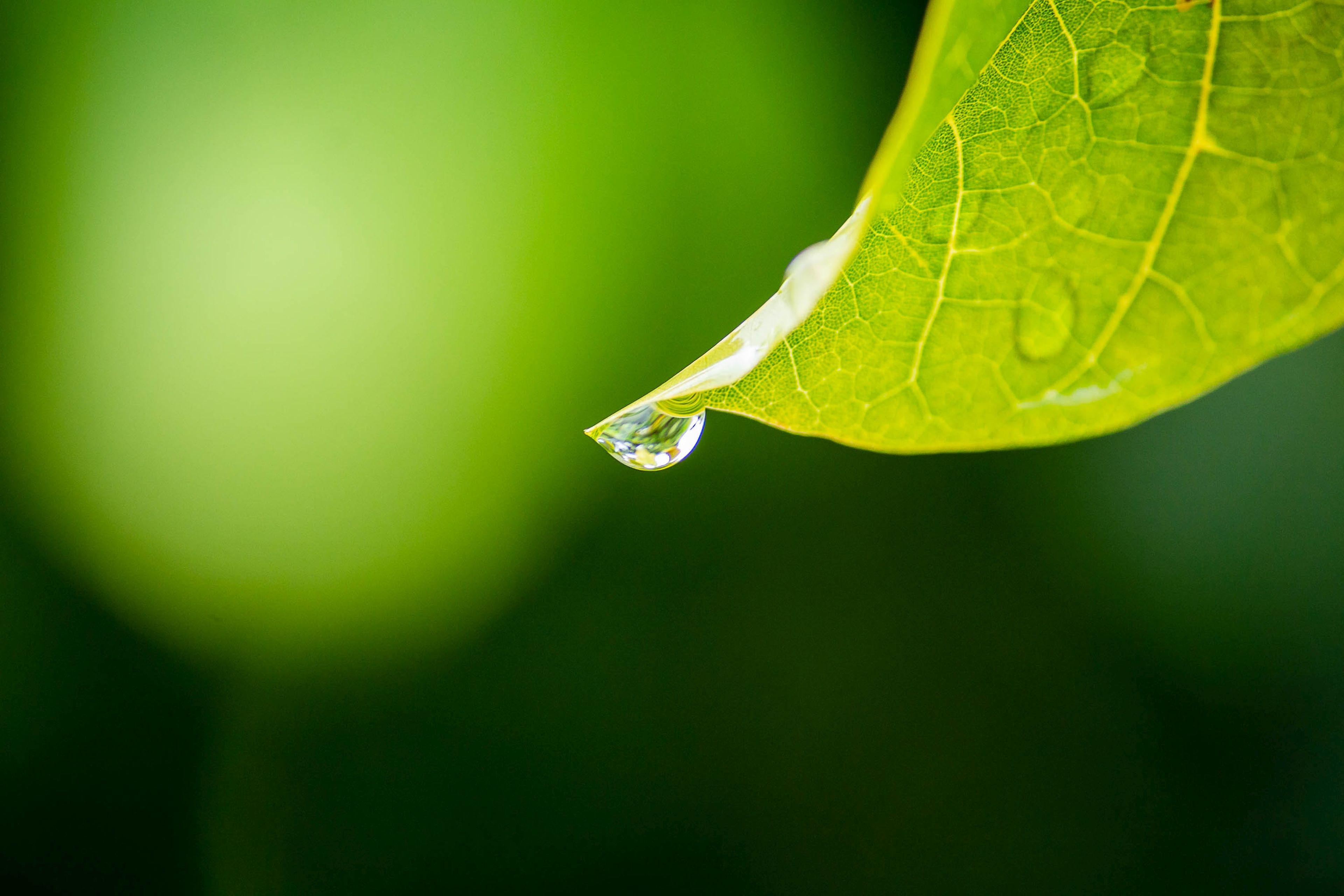 Environment Background Photos, Download The BEST Free Environment ...