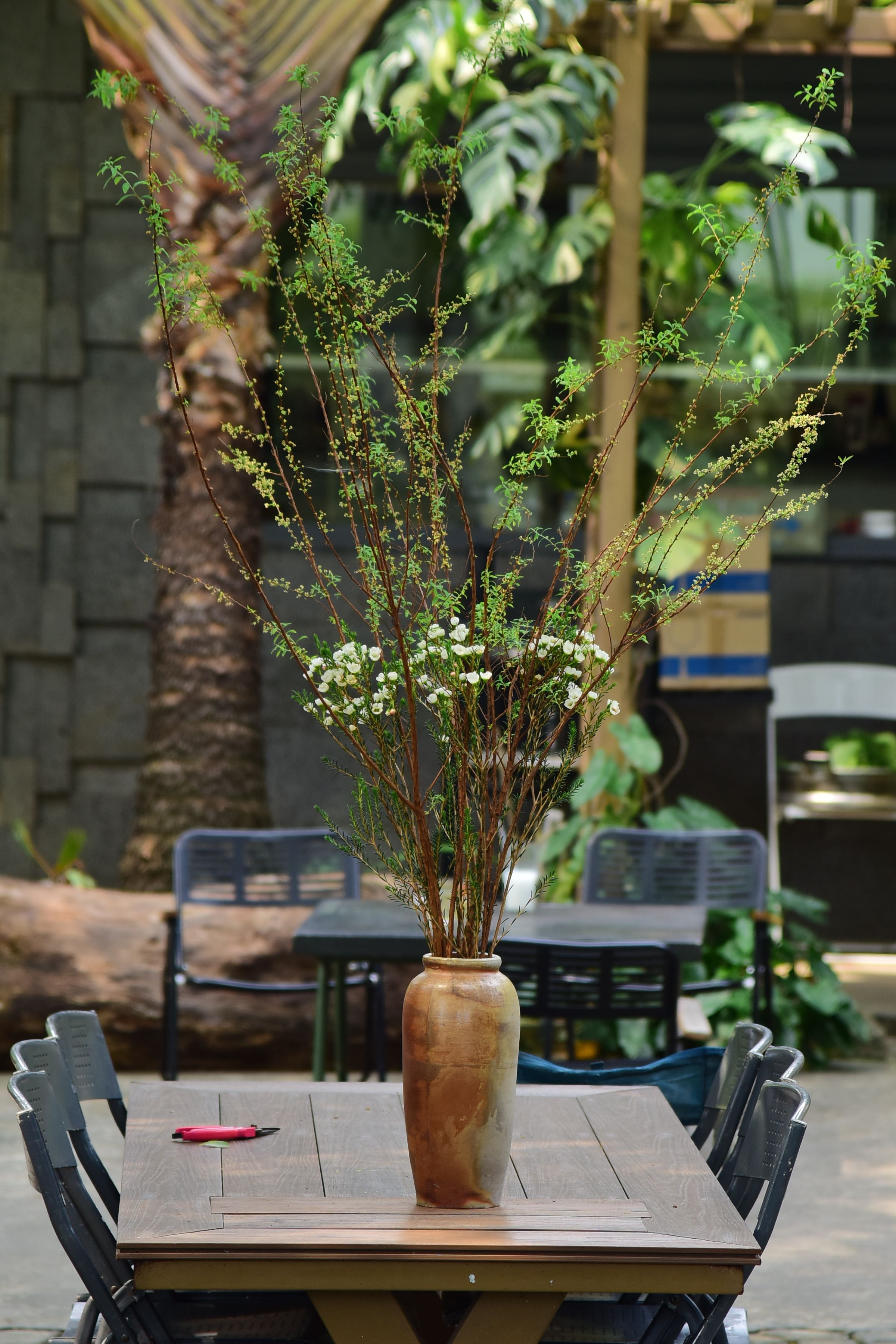 Rustic Outdoor Table Setting with Vase and Flowers · Free Stock Photo