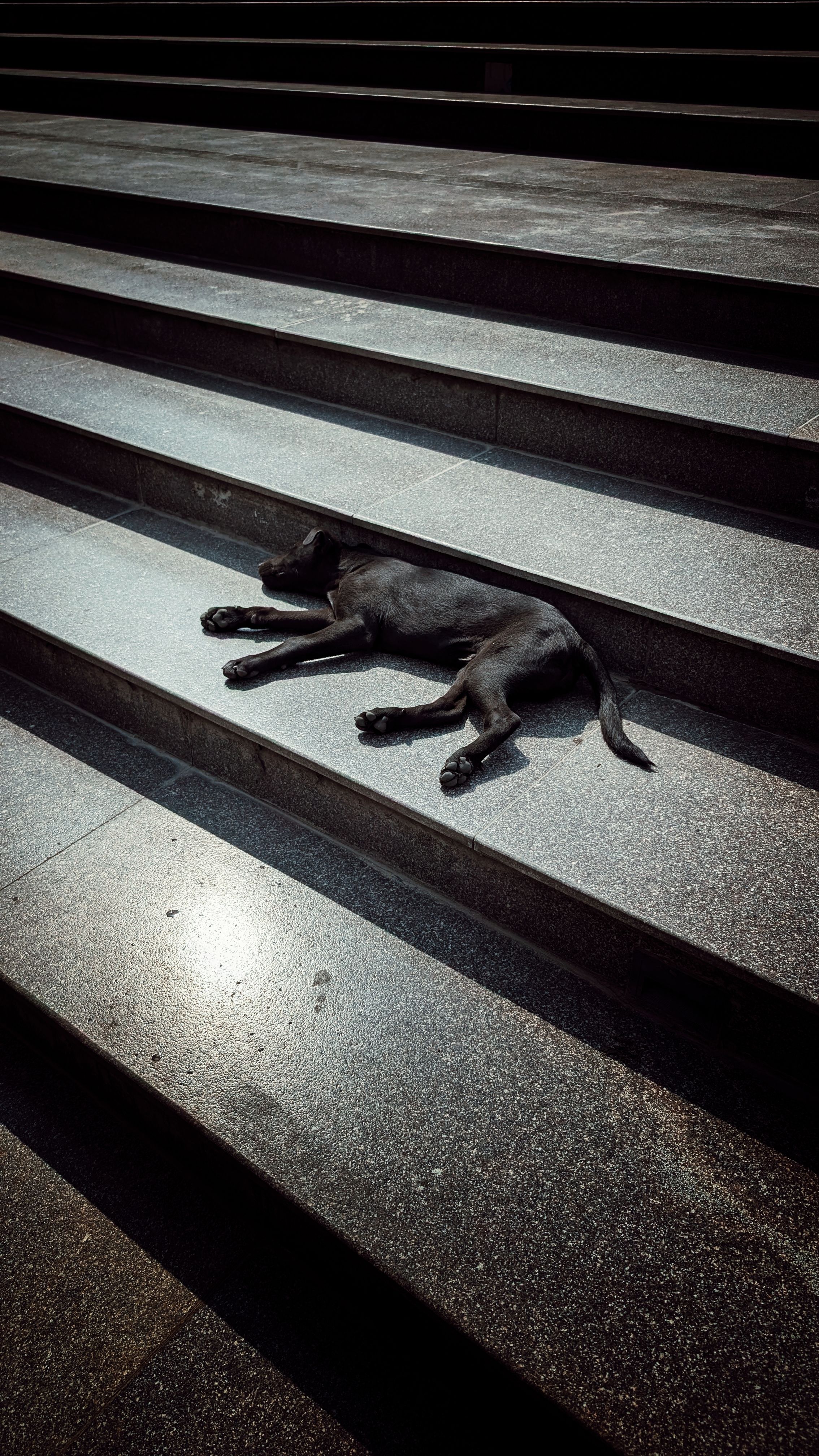 Anas Jawed - 写真