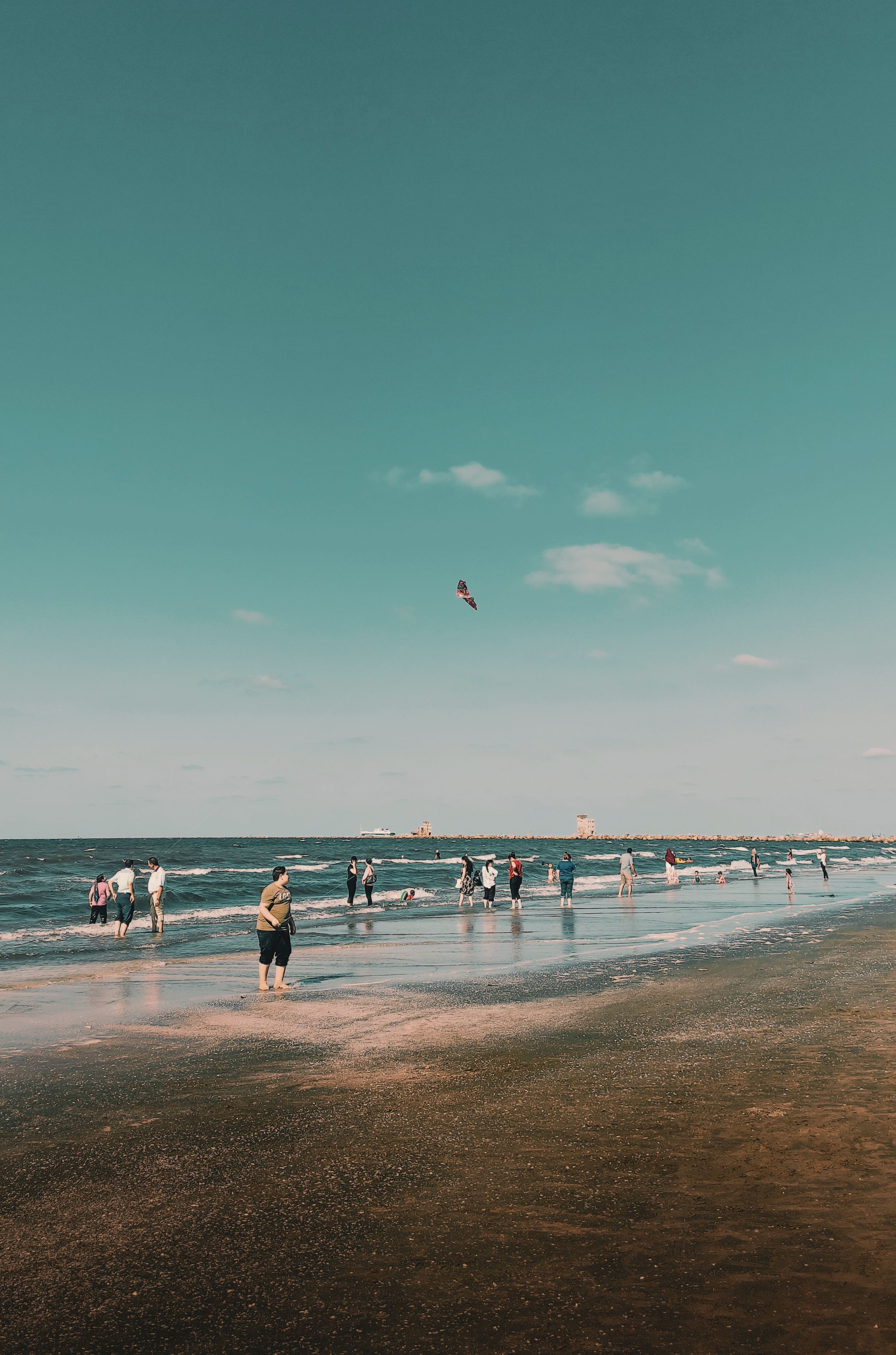 Vibrant Beach Scene in Egypt with Kite Flying · Free Stock Photo