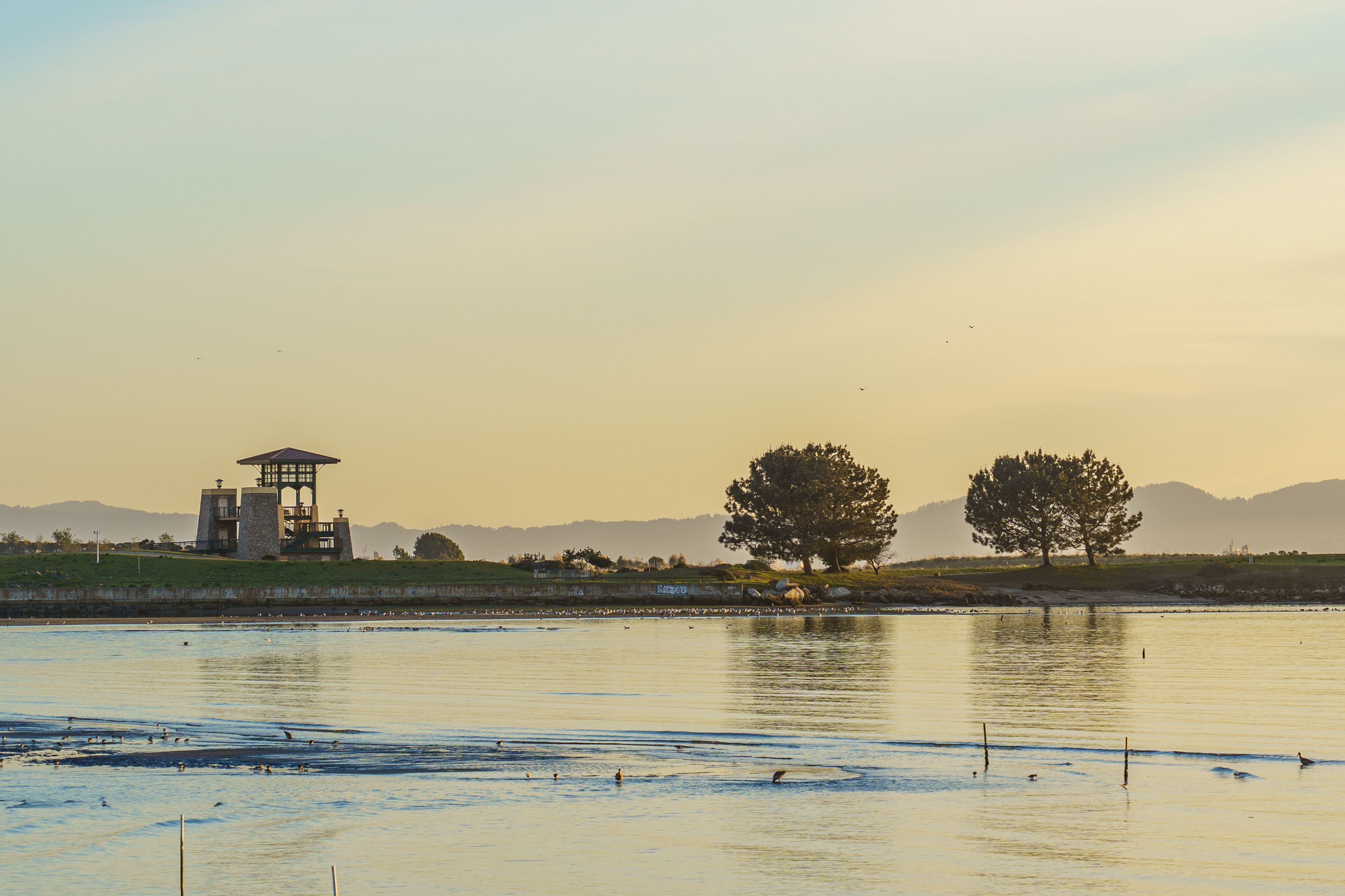 Serene Lakeside View at Sunset with Trees · Free Stock Photo