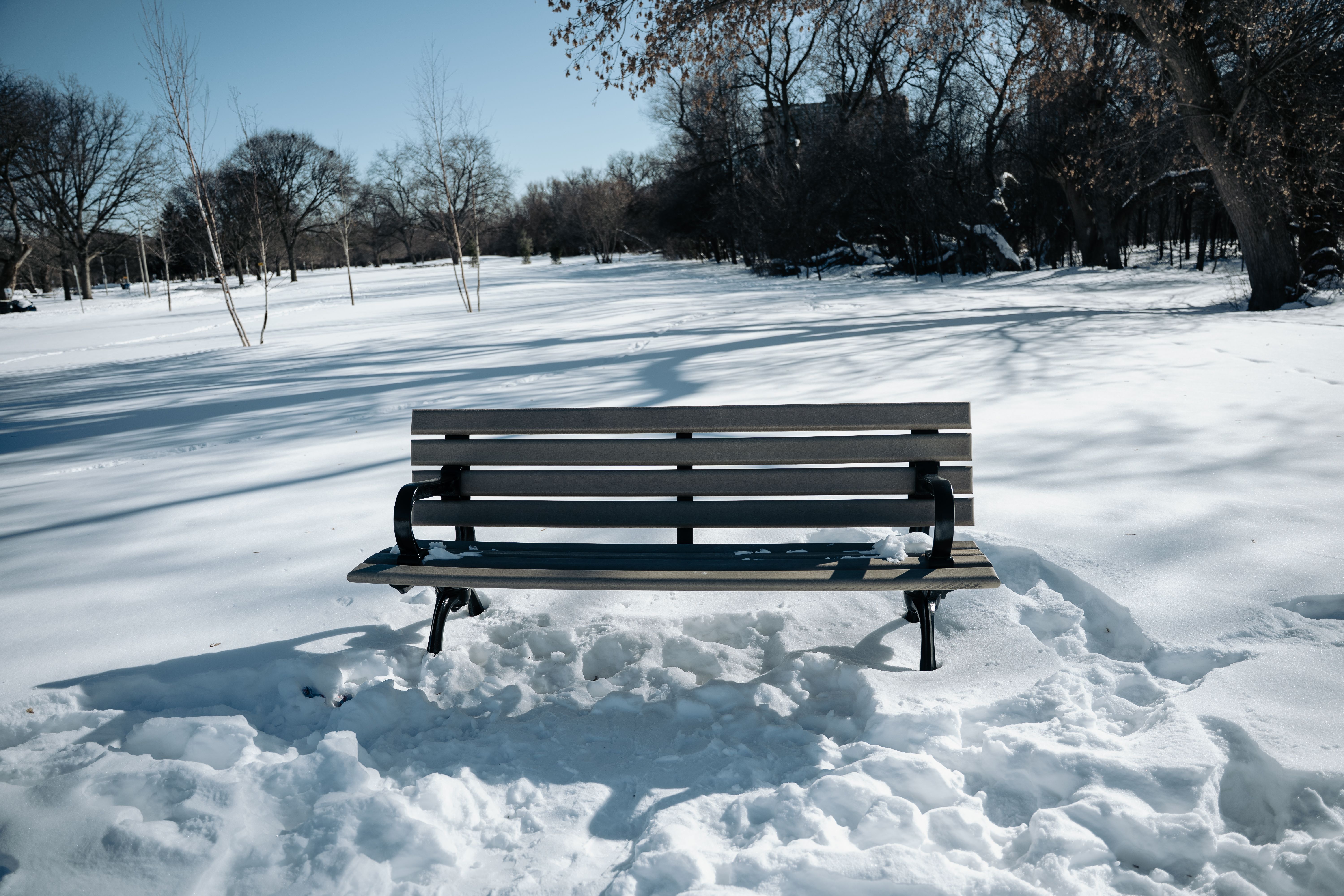 Serene Snowy Park with Empty Bench · Free Stock Photo