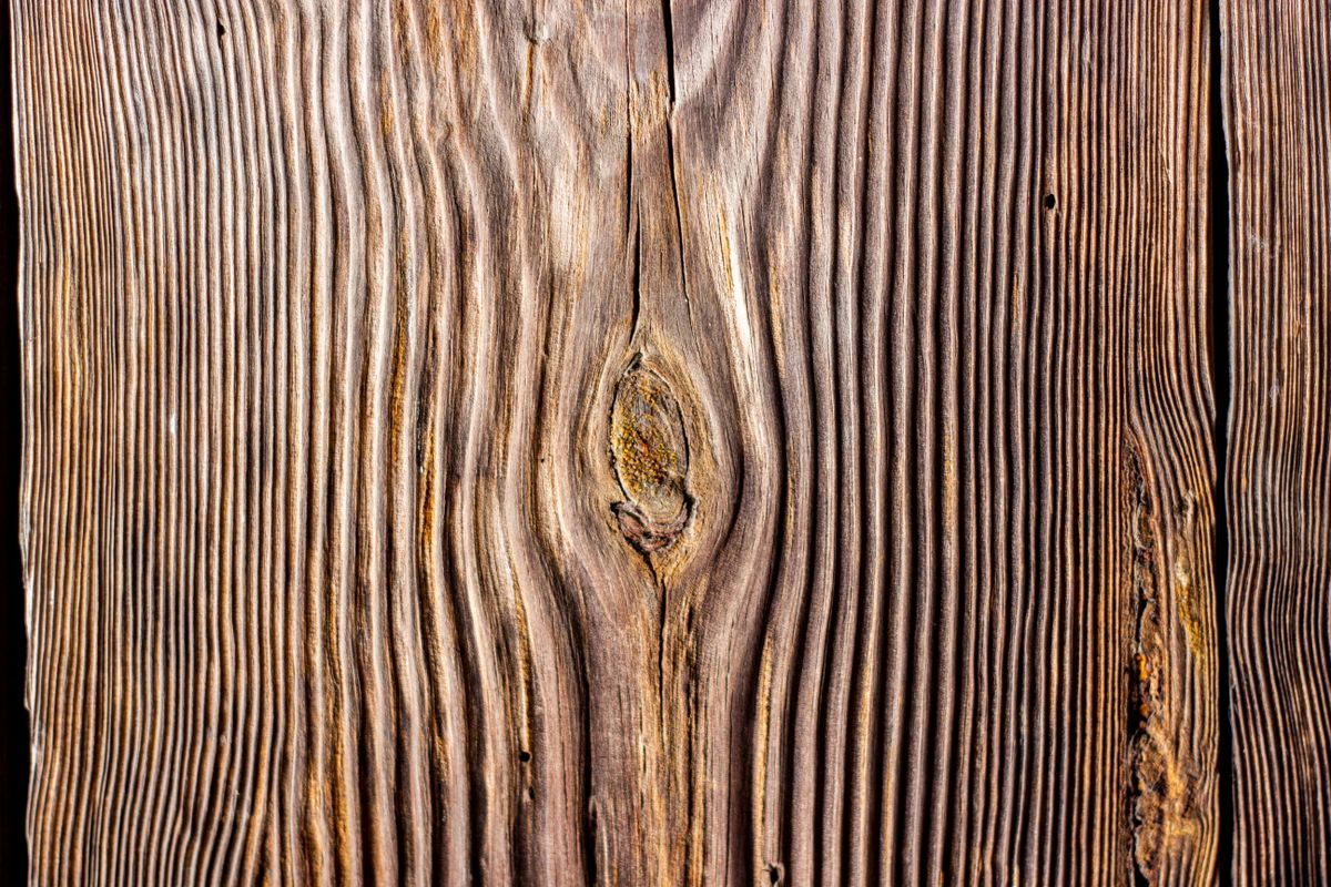 Grain Texture Png Photos, Download The BEST Free Grain Texture Png ...