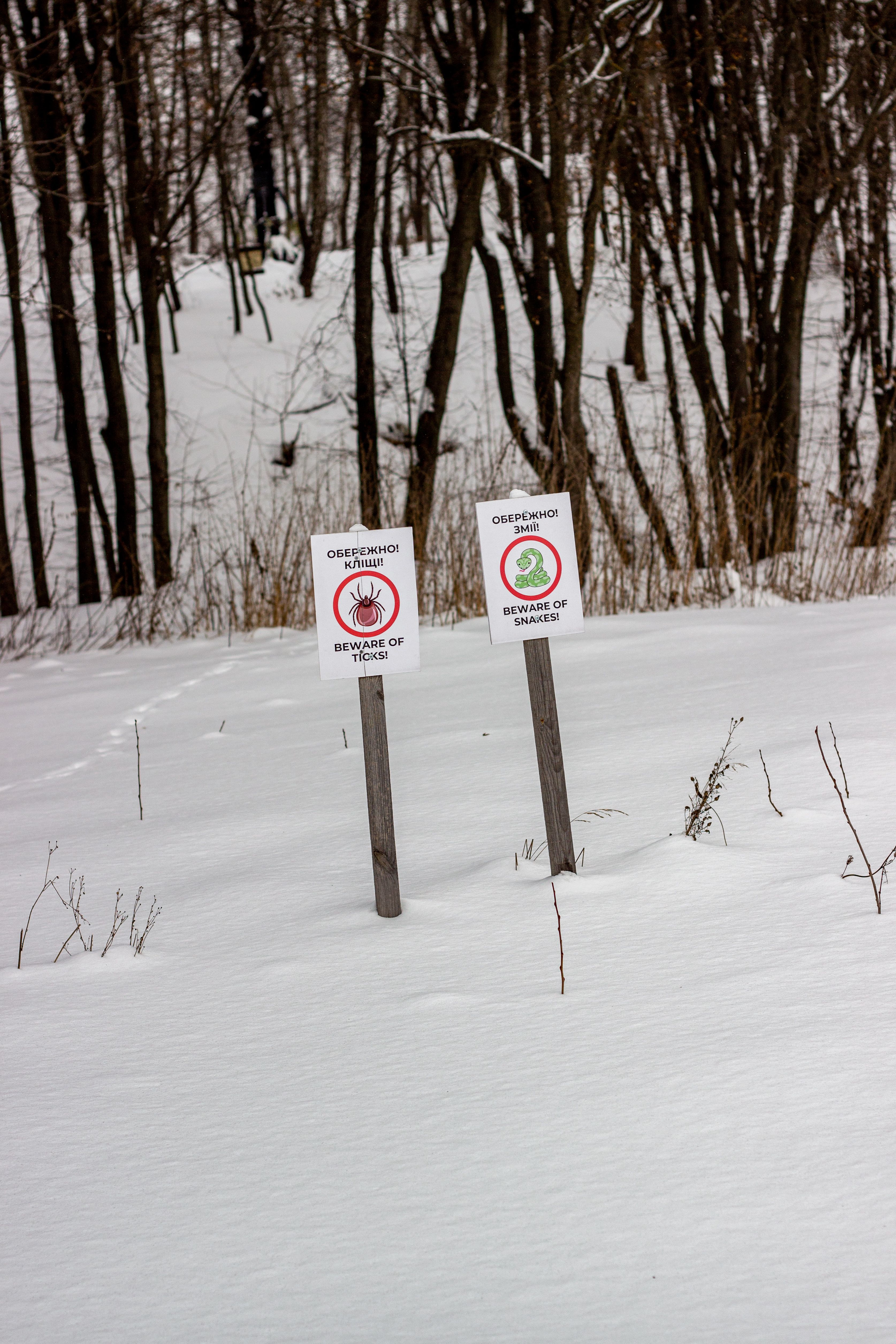 Warning Signs in Snowy Forest Landscape · Free Stock Photo