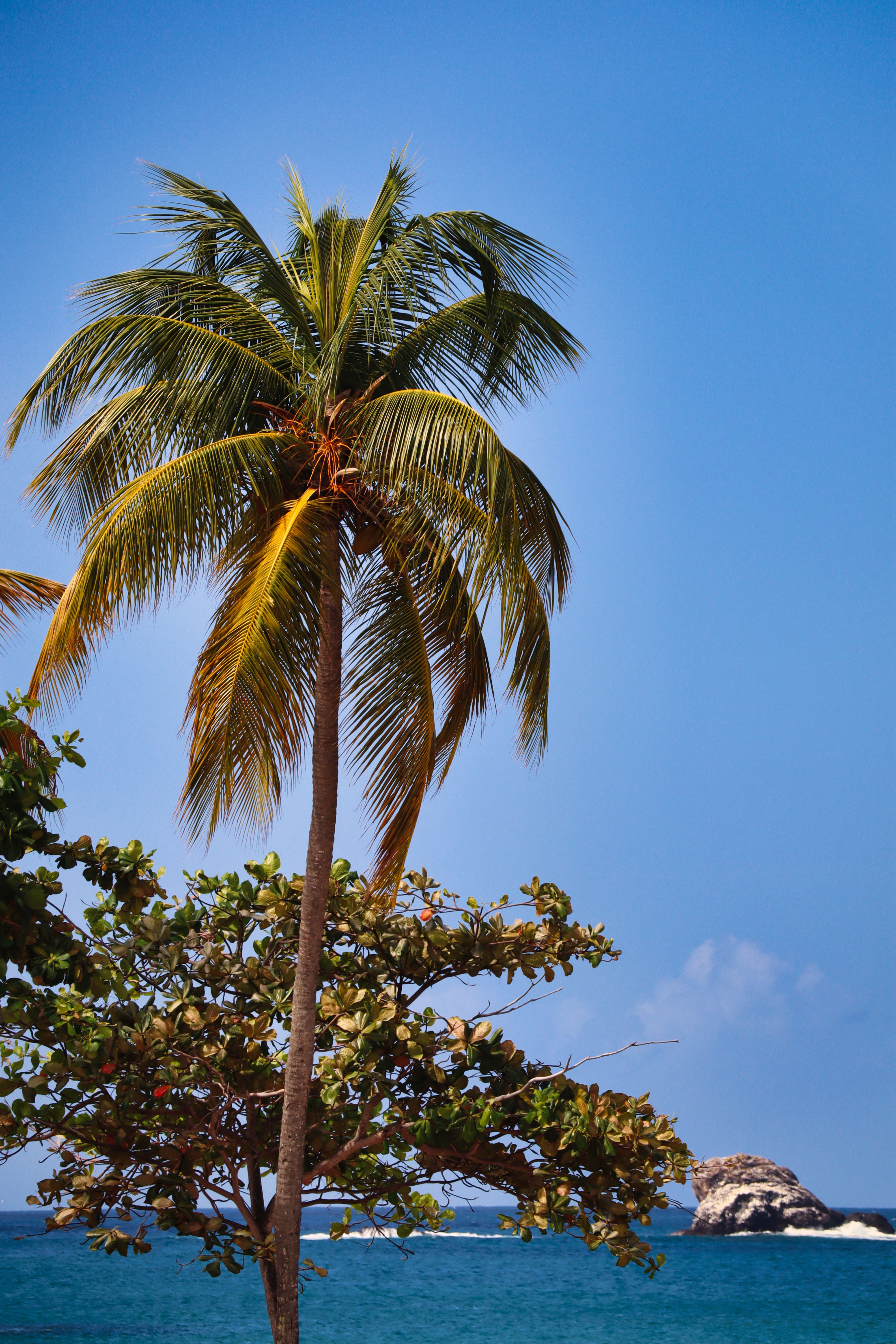 Caribbean Photos, Download The BEST Free Caribbean Stock Photos & HD Images