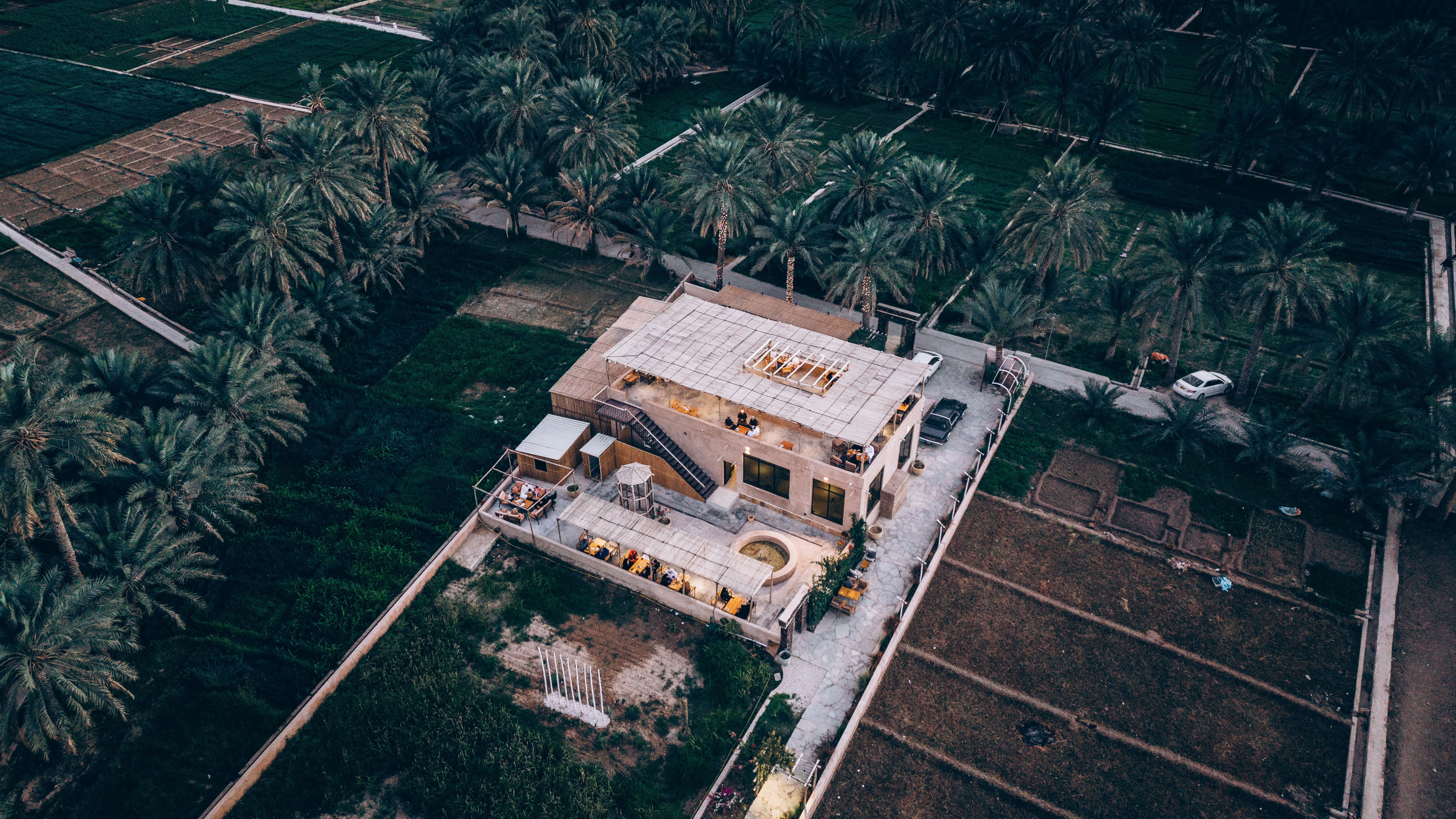 Aerial View of Farmhouse Surrounded by Palm Trees · Free Stock Photo