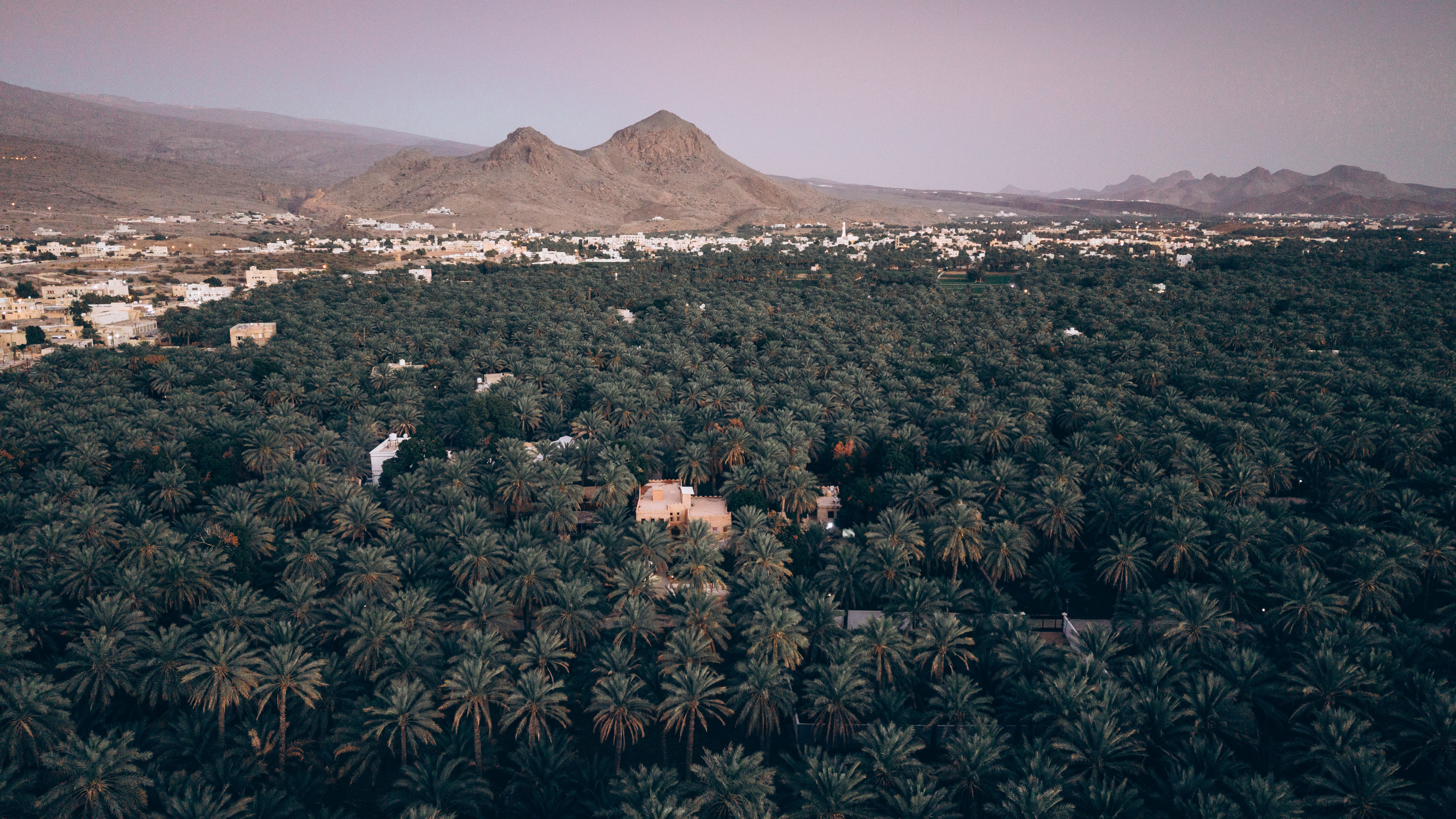 Scenic Aerial View of Oman Palm Oasis and Mountains · Free Stock Photo