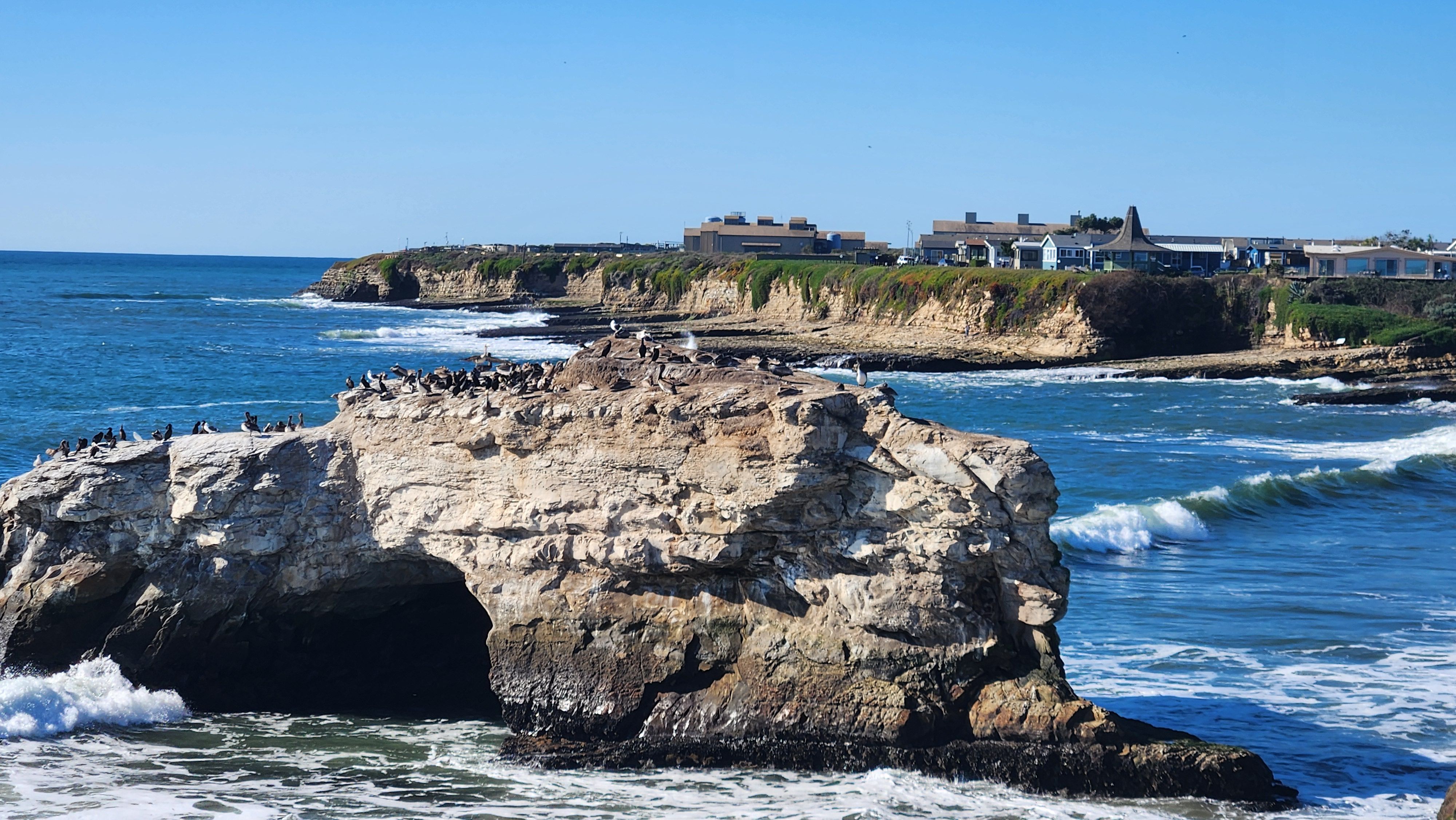 Dramatic Coastal Cliff with Seabirds in Santa Cruz · Free Stock Photo