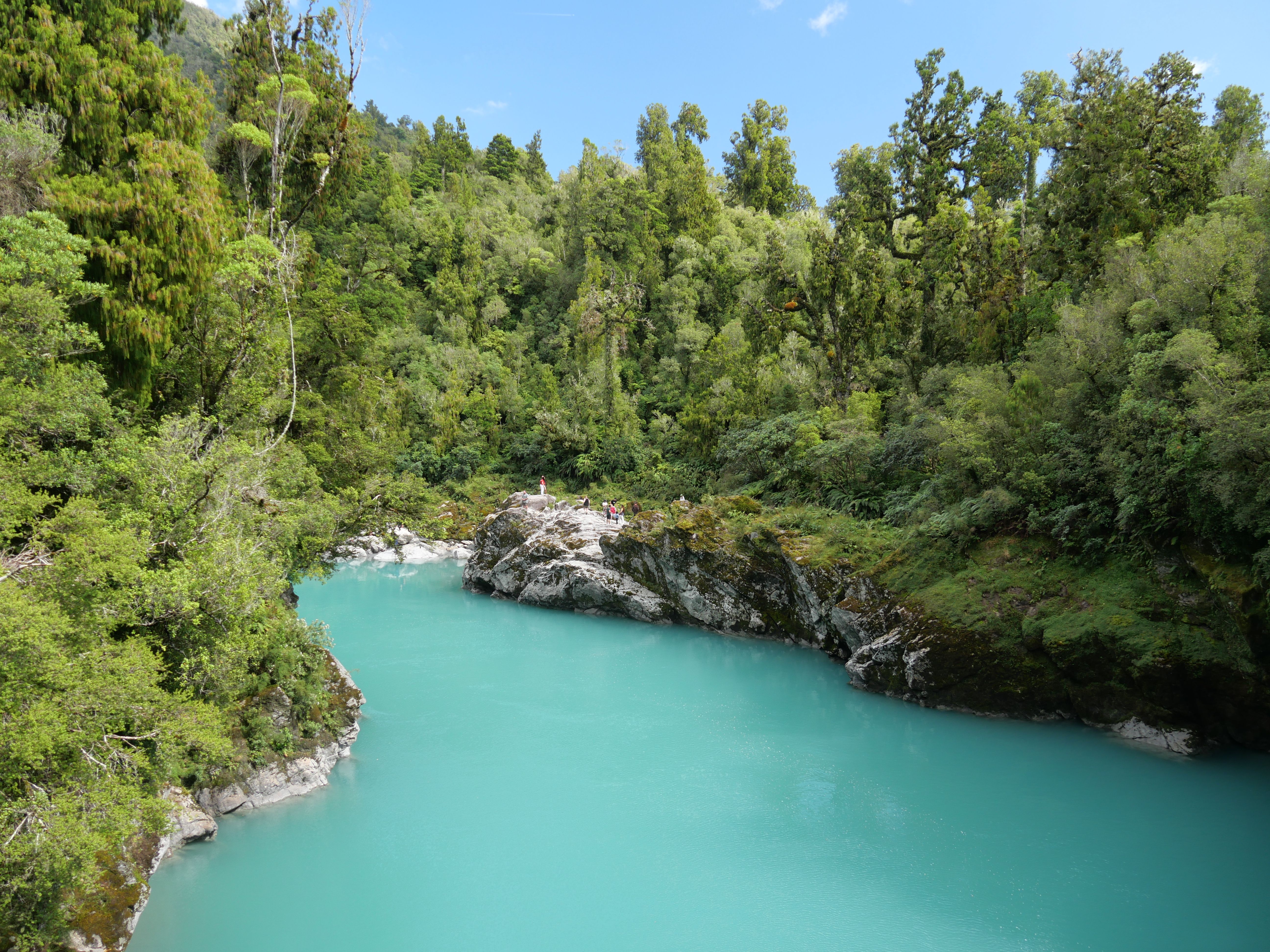 Turquoise River Amidst Lush New Zealand Forest · Free Stock Photo