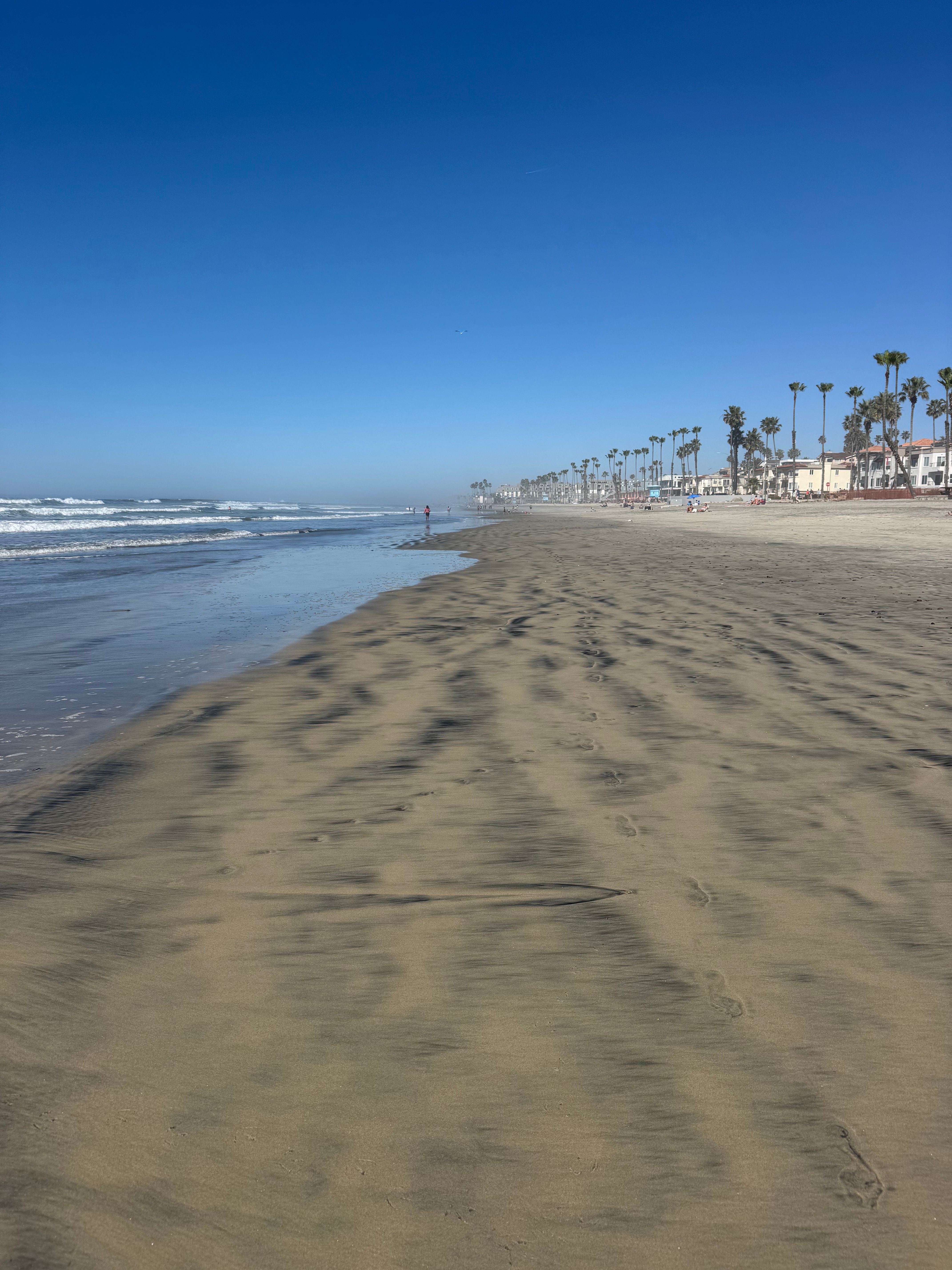 California Beach Photos, Download The BEST Free California Beach Stock ...