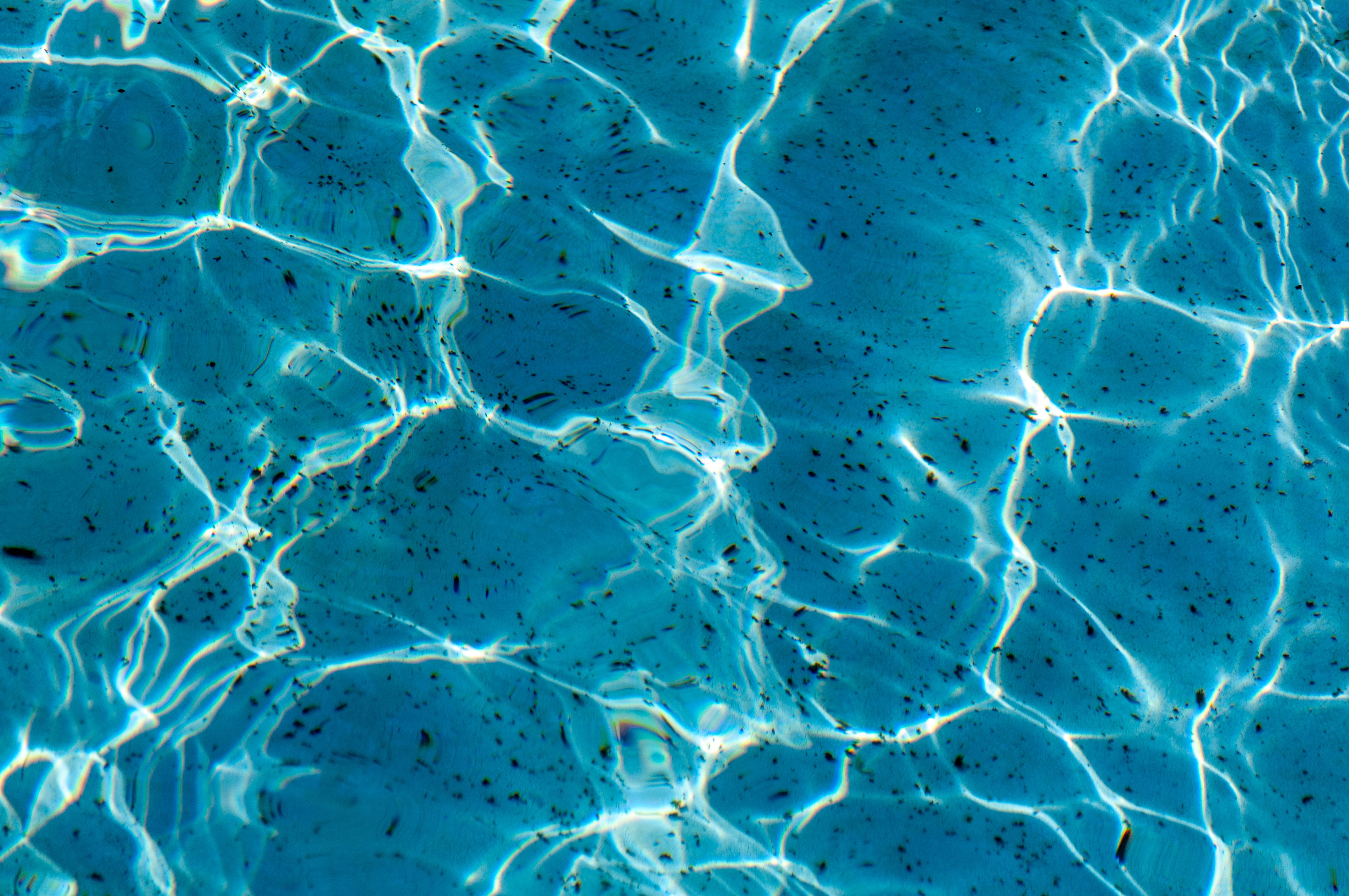 Blue Body of Water · Free Stock Photo