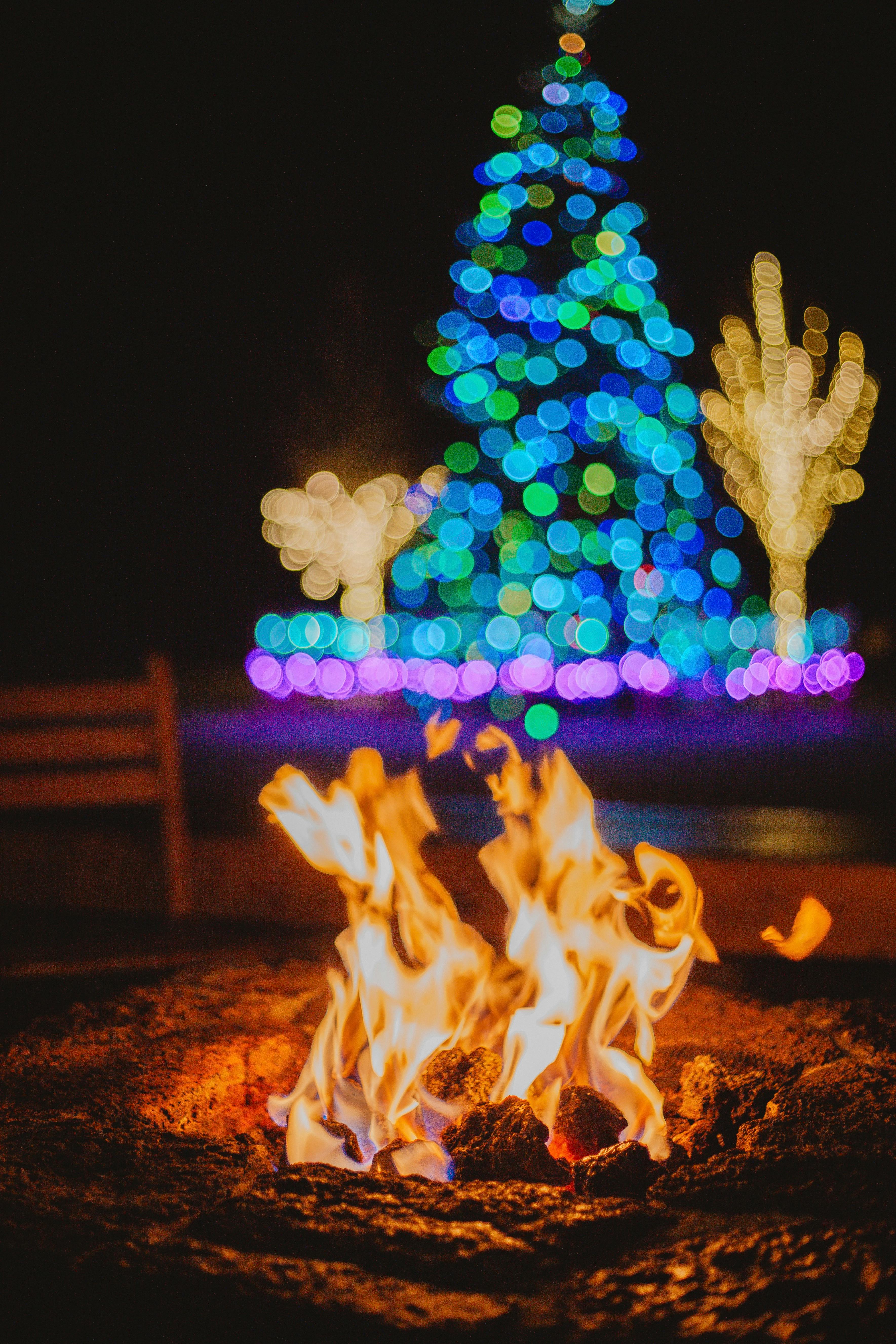 Bonfire · Free Stock Photo