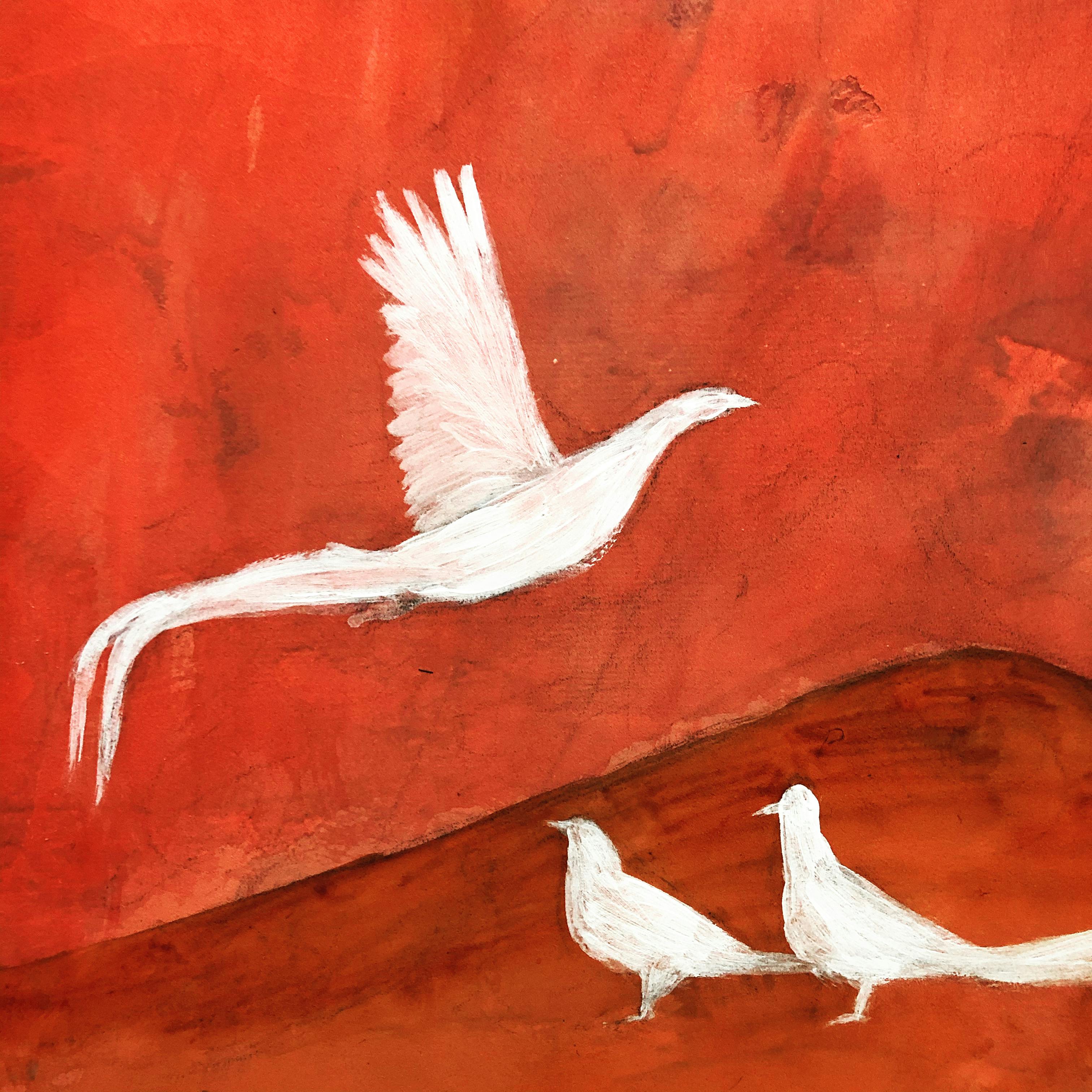 11° in Sabian Symbols · Pexels