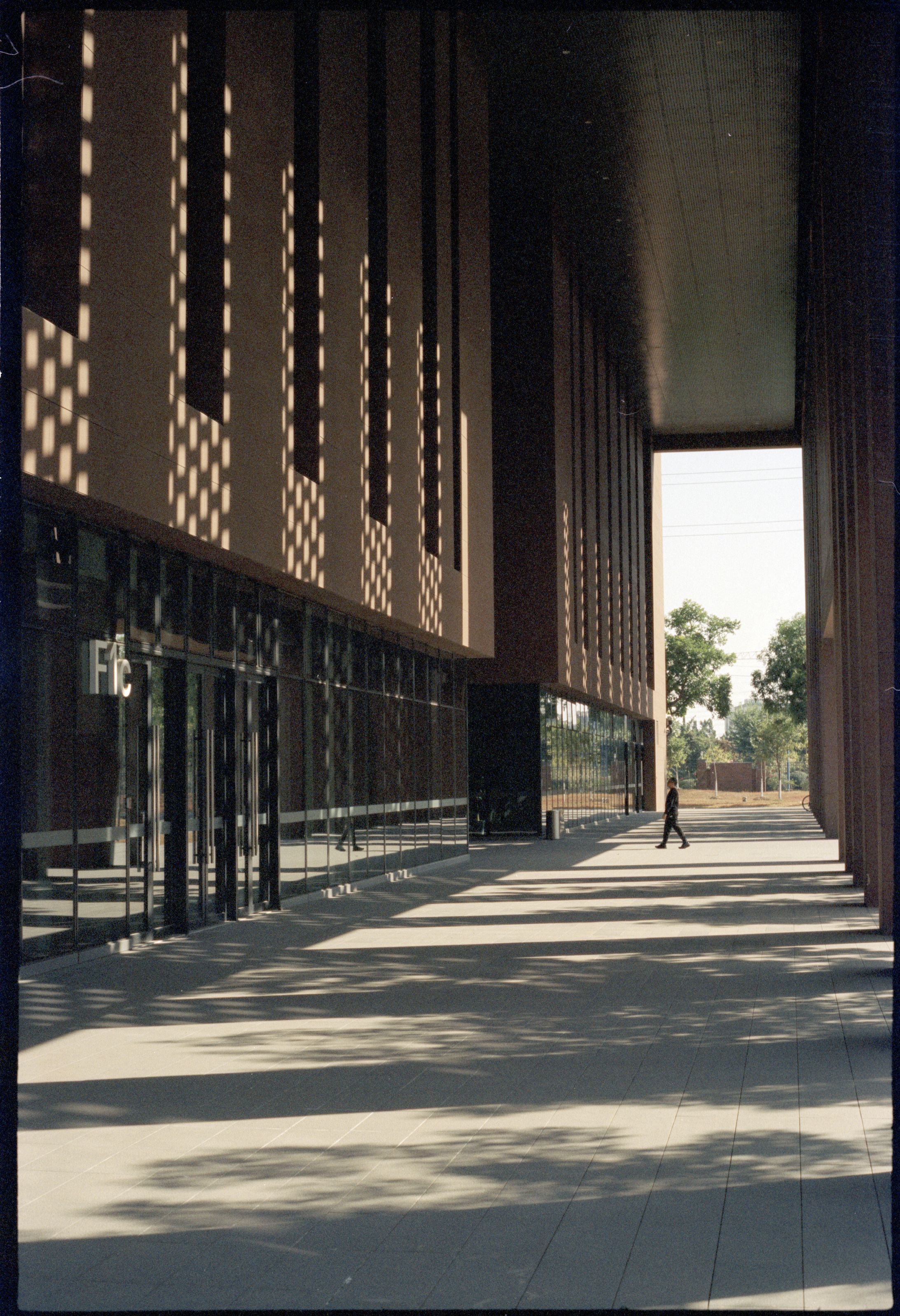 Modern Architecture with Dramatic Shadows · Free Stock Photo