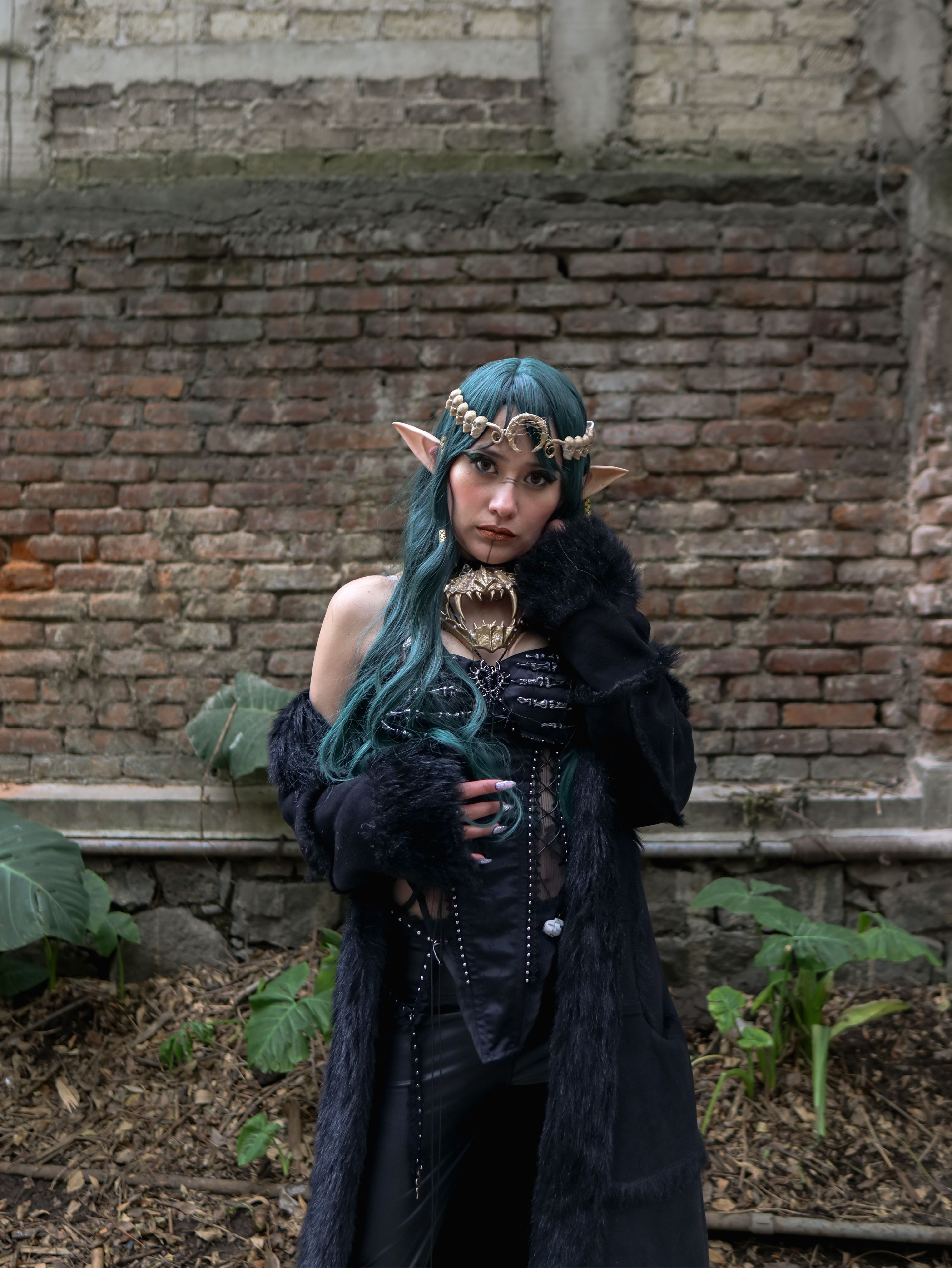 Cosplay Elfa Photos, Download The BEST Free Cosplay Elfa Stock Photos ...