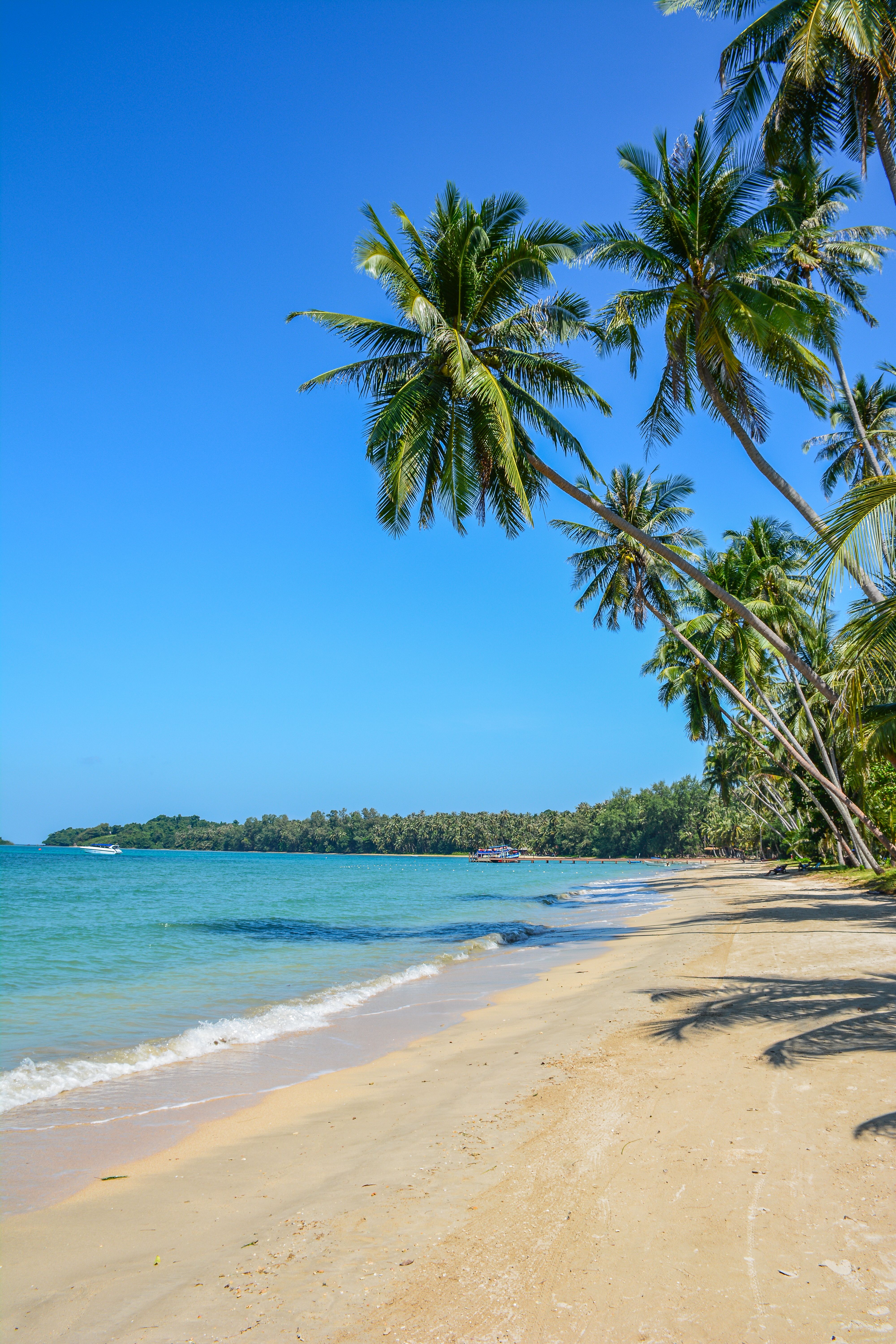 Tropical Beach Paradise on Ko Mak Island, Thailand · Free Stock Photo