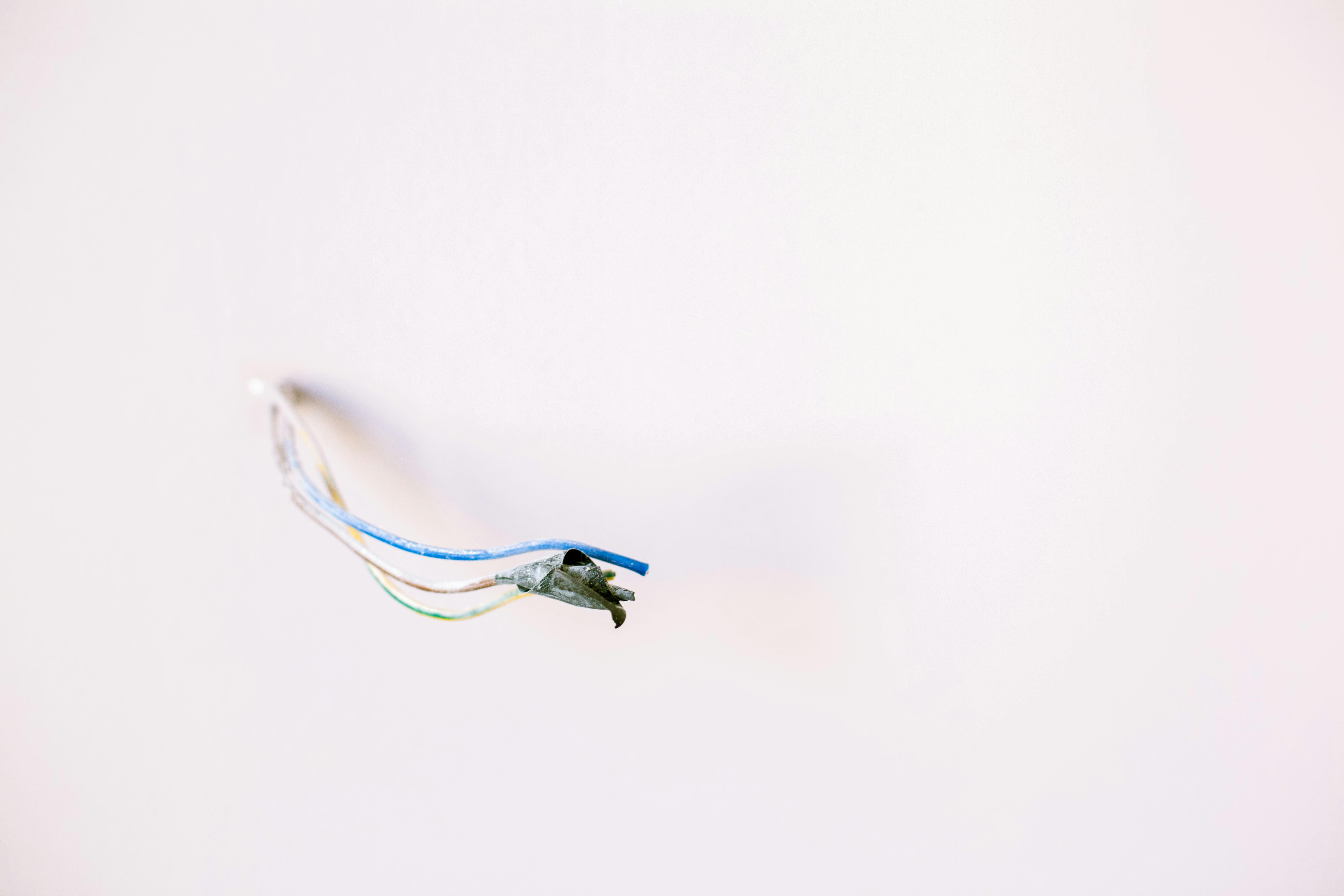 Photo of Electrical Wires · Free Stock Photo