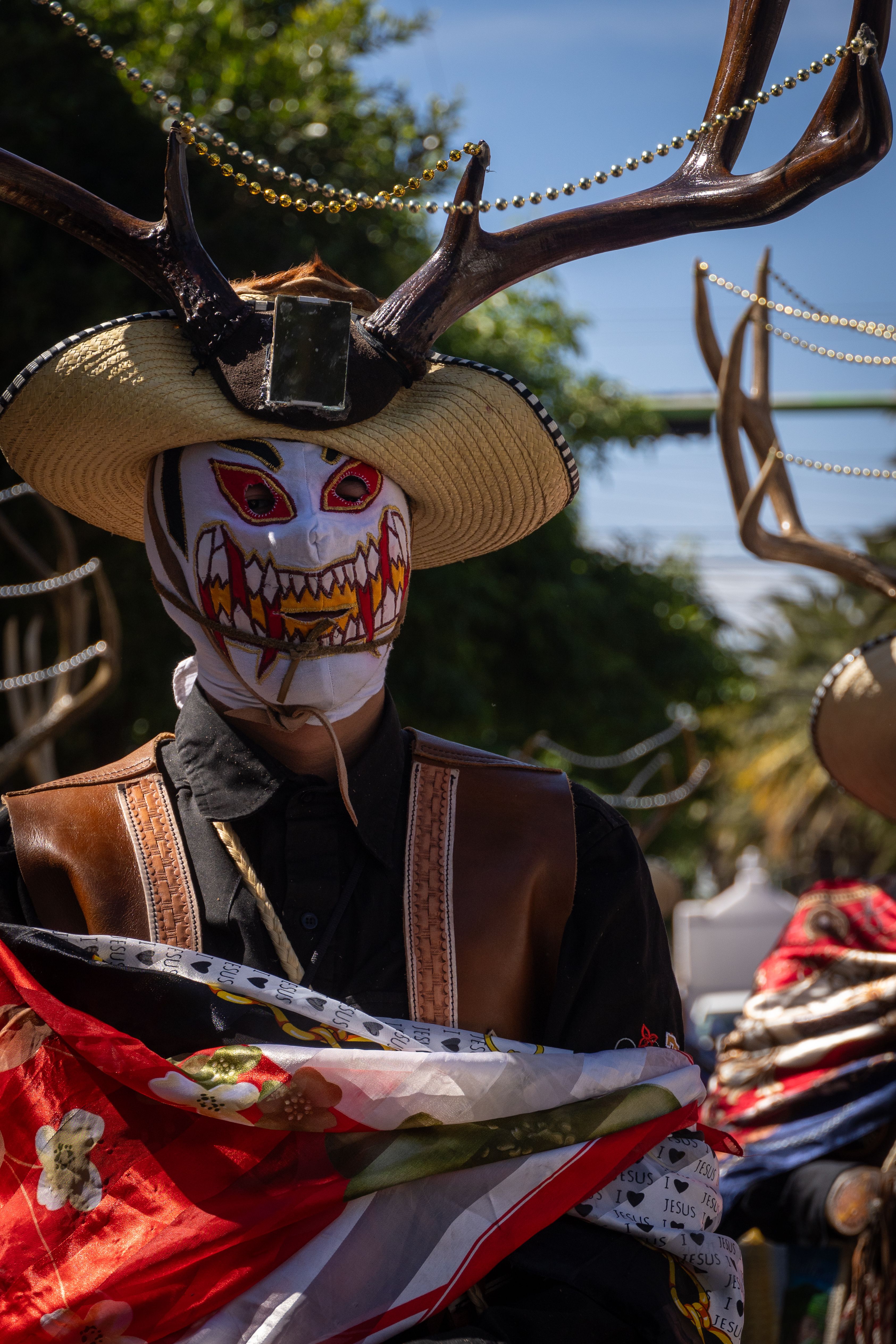 Colorful Mexican Carnival Costume with Mask · Free Stock Photo