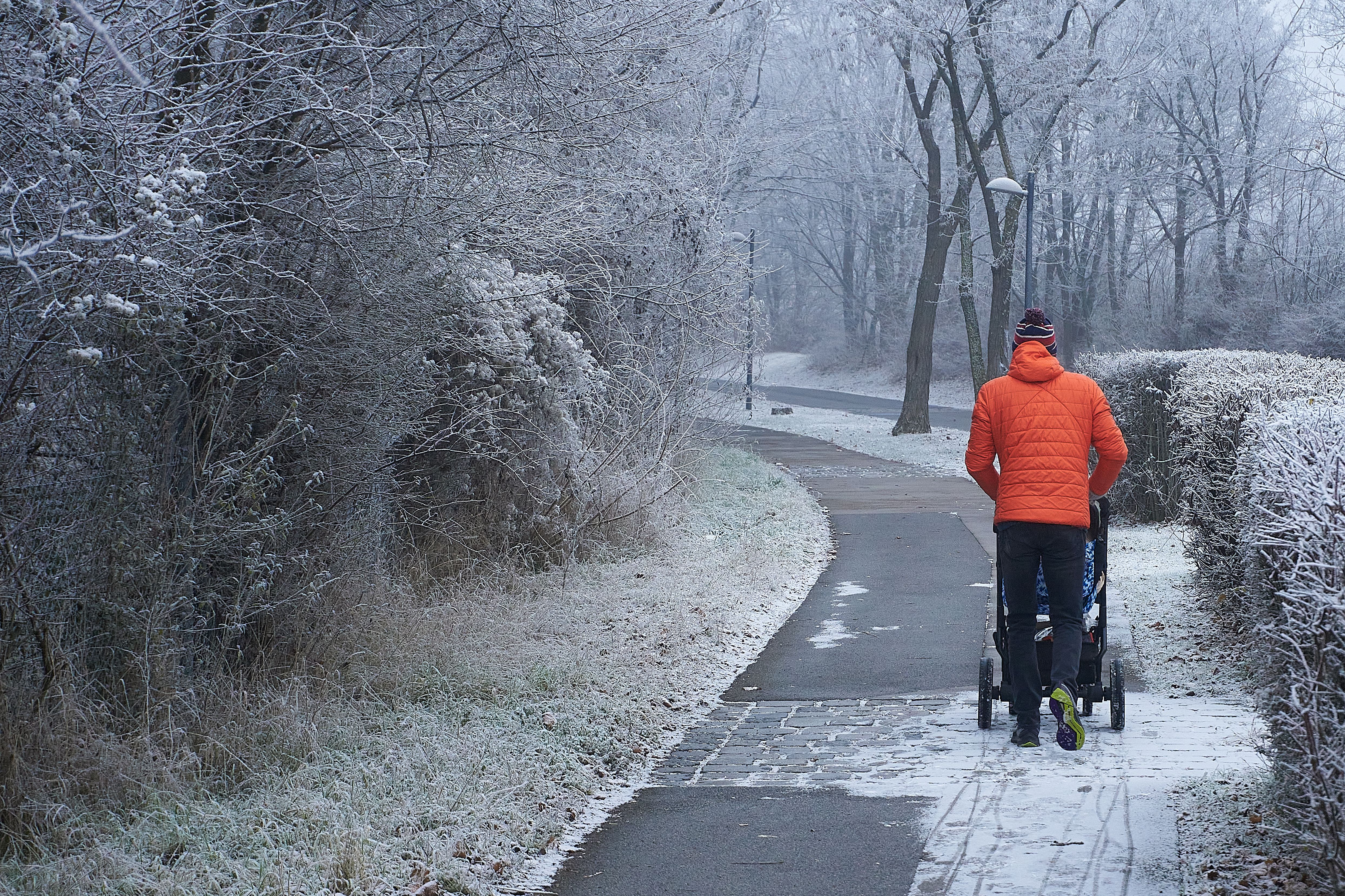 Man Pushing a Stroller · Free Stock Photo